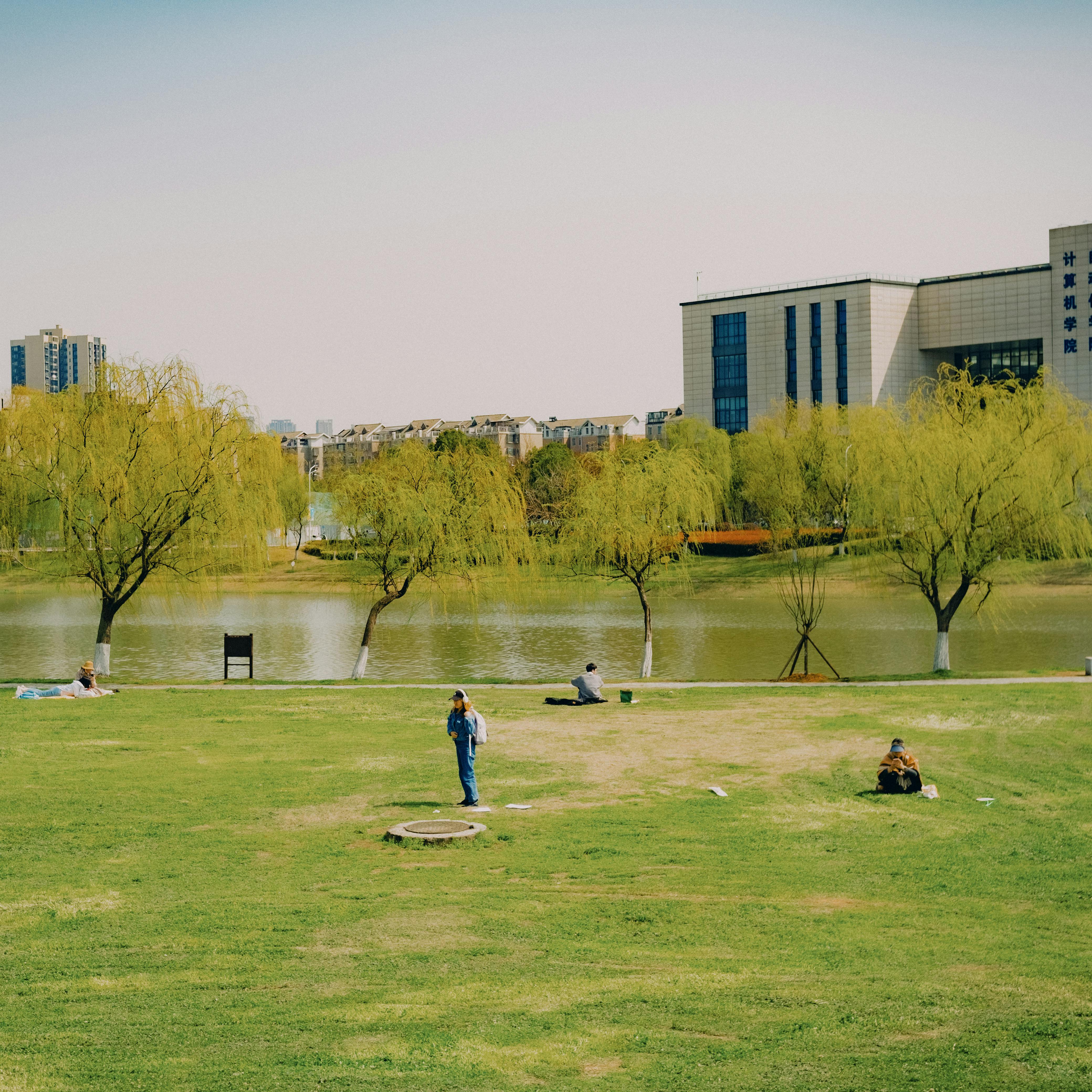 Person Relaxing in Park · Free Stock Photo