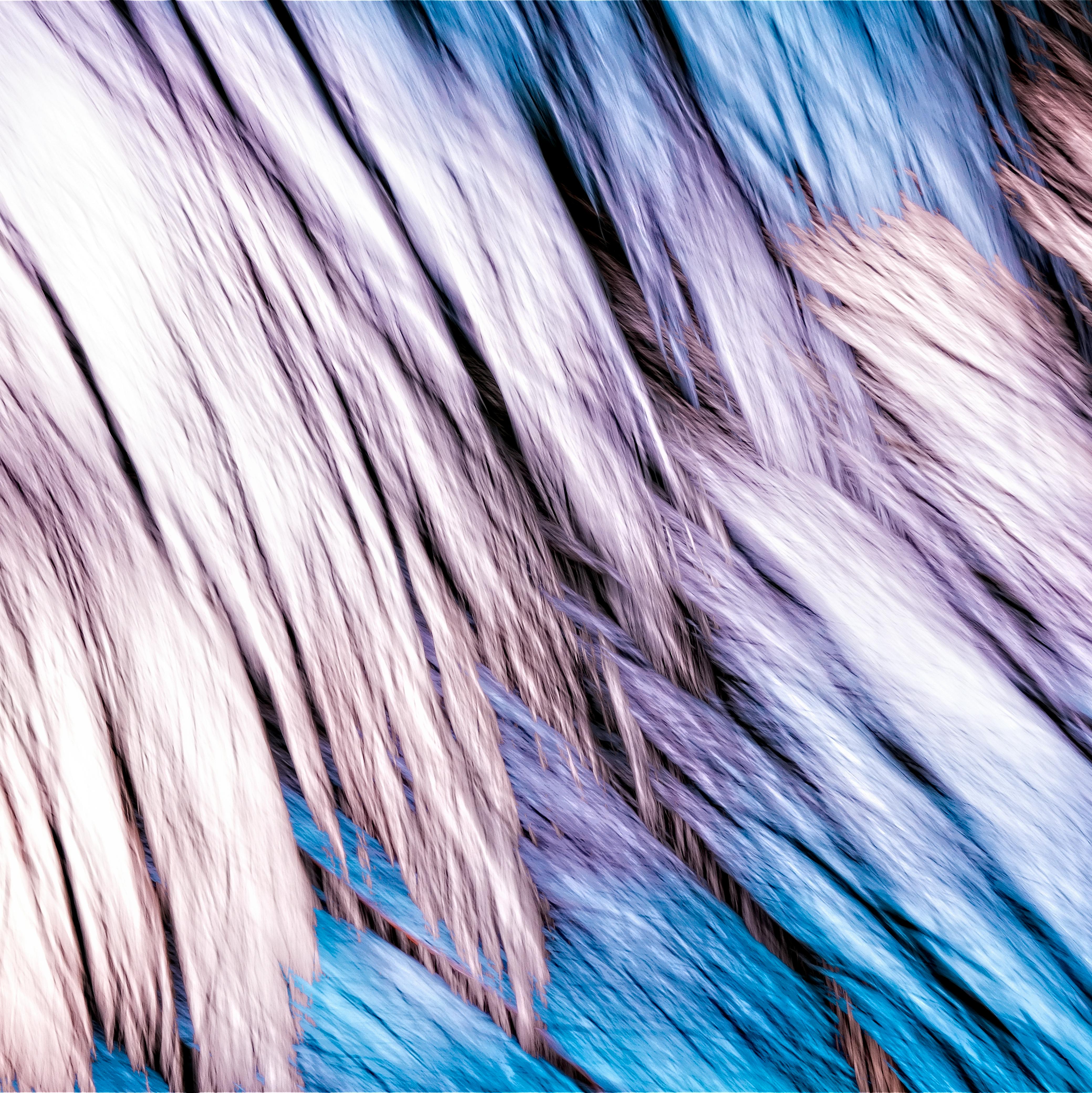Blurred, Wavy Shapes · Free Stock Photo