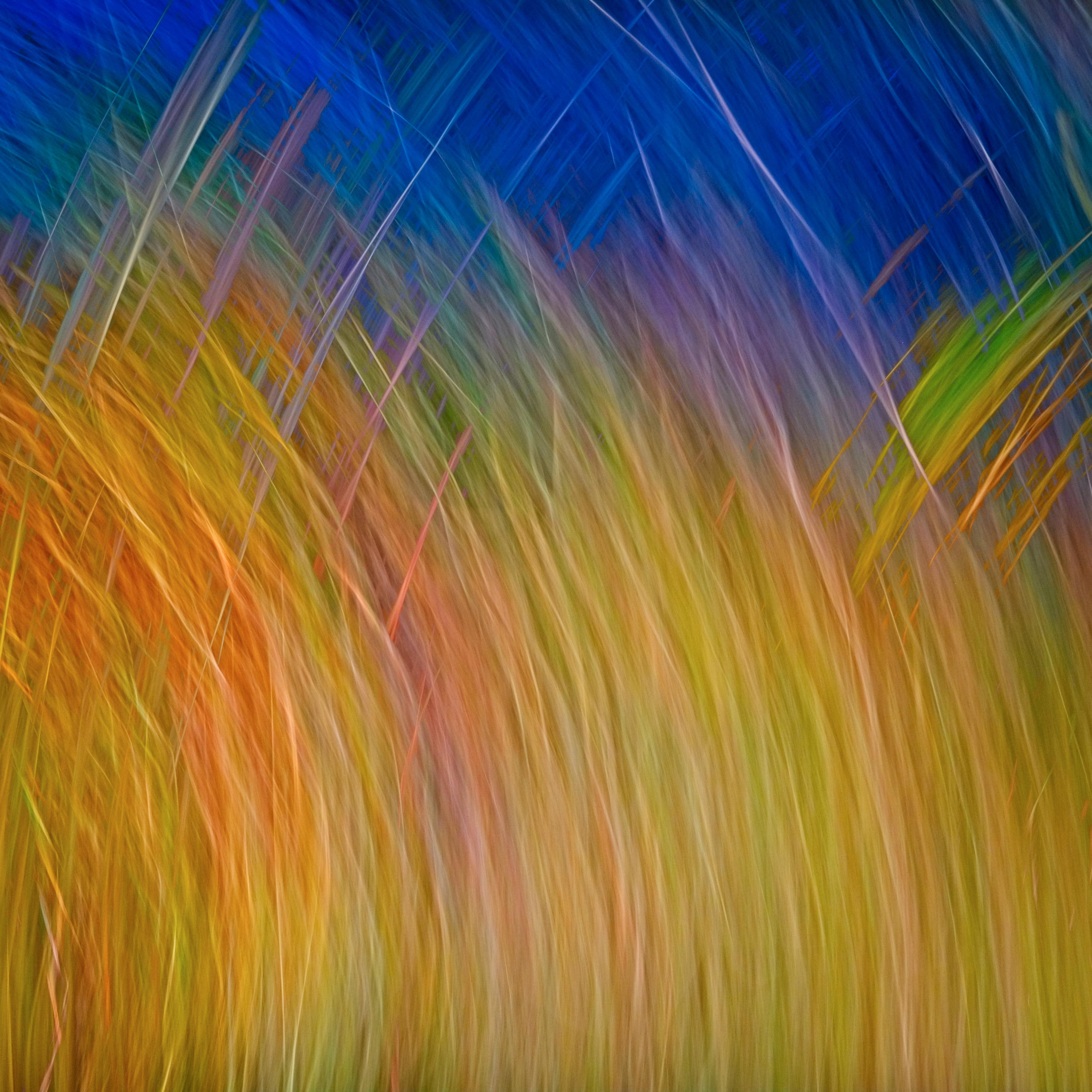 Layered Landscape Photos, Download The BEST Free Layered Landscape ...