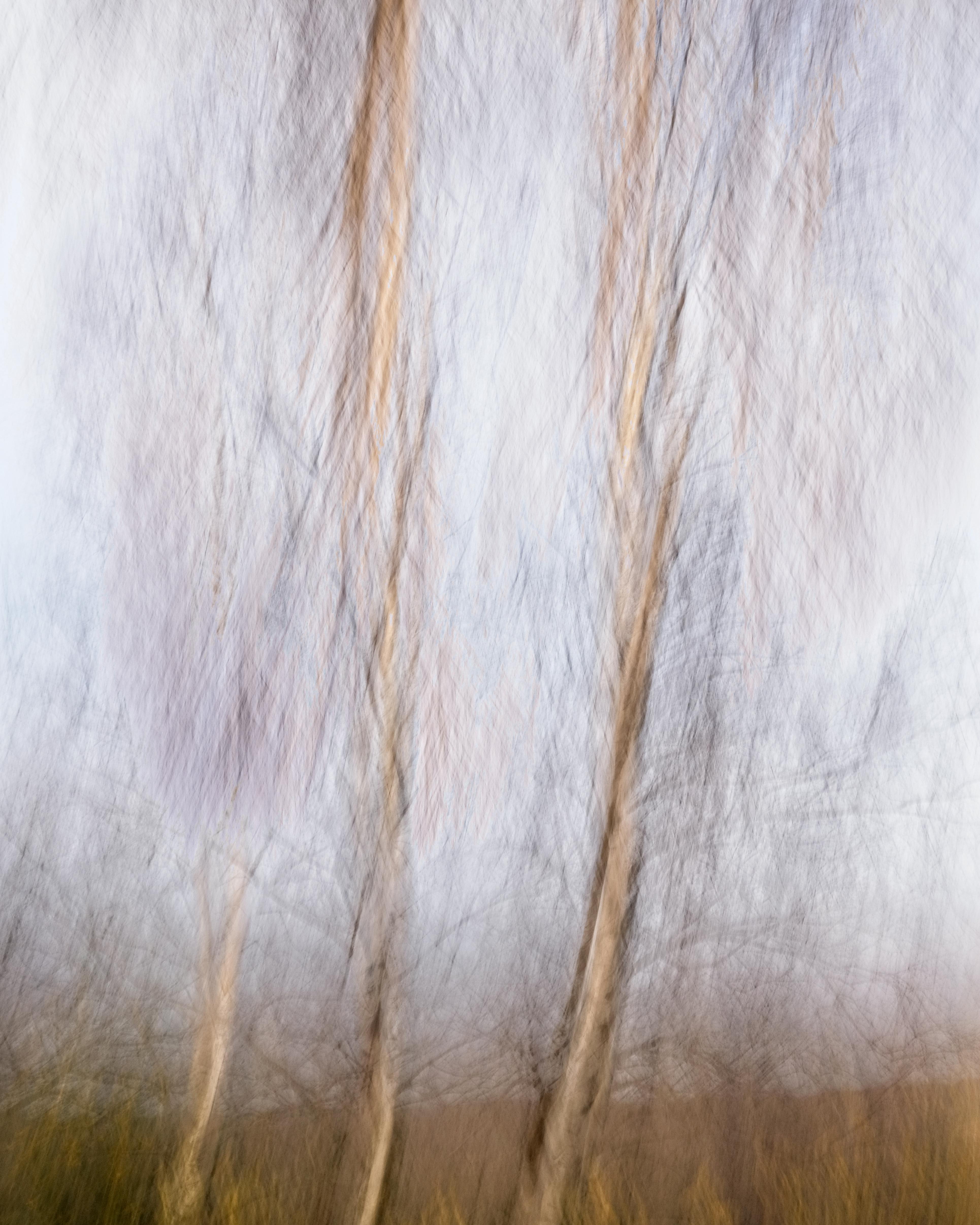 Smooth Wood Texture Photos, Download The BEST Free Smooth Wood Texture ...