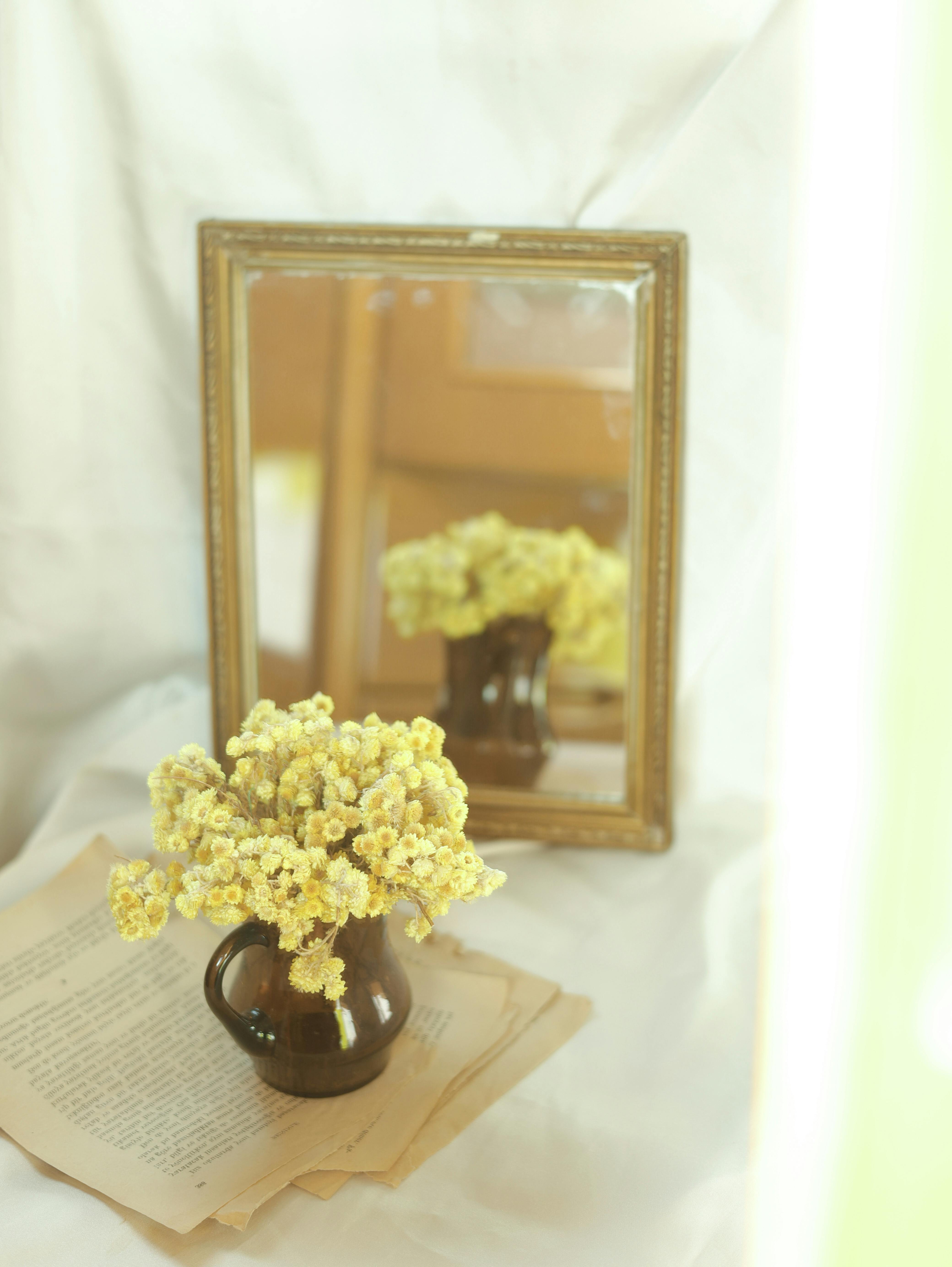 Faded Book Pages Photos, Download The BEST Free Faded Book Pages Stock ...