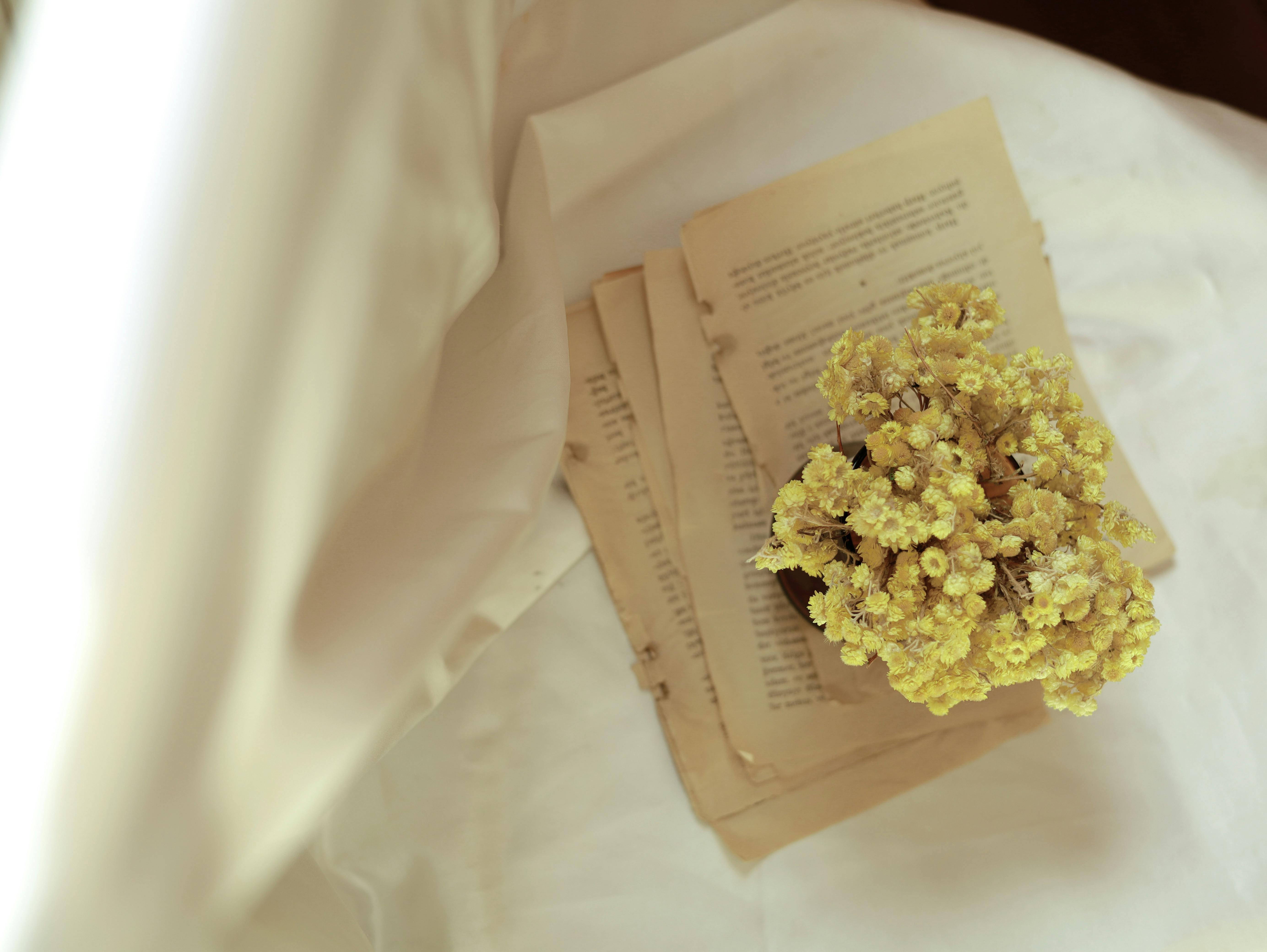 Torn Mat Time Photos, Download The BEST Free Torn Mat Time Stock Photos ...