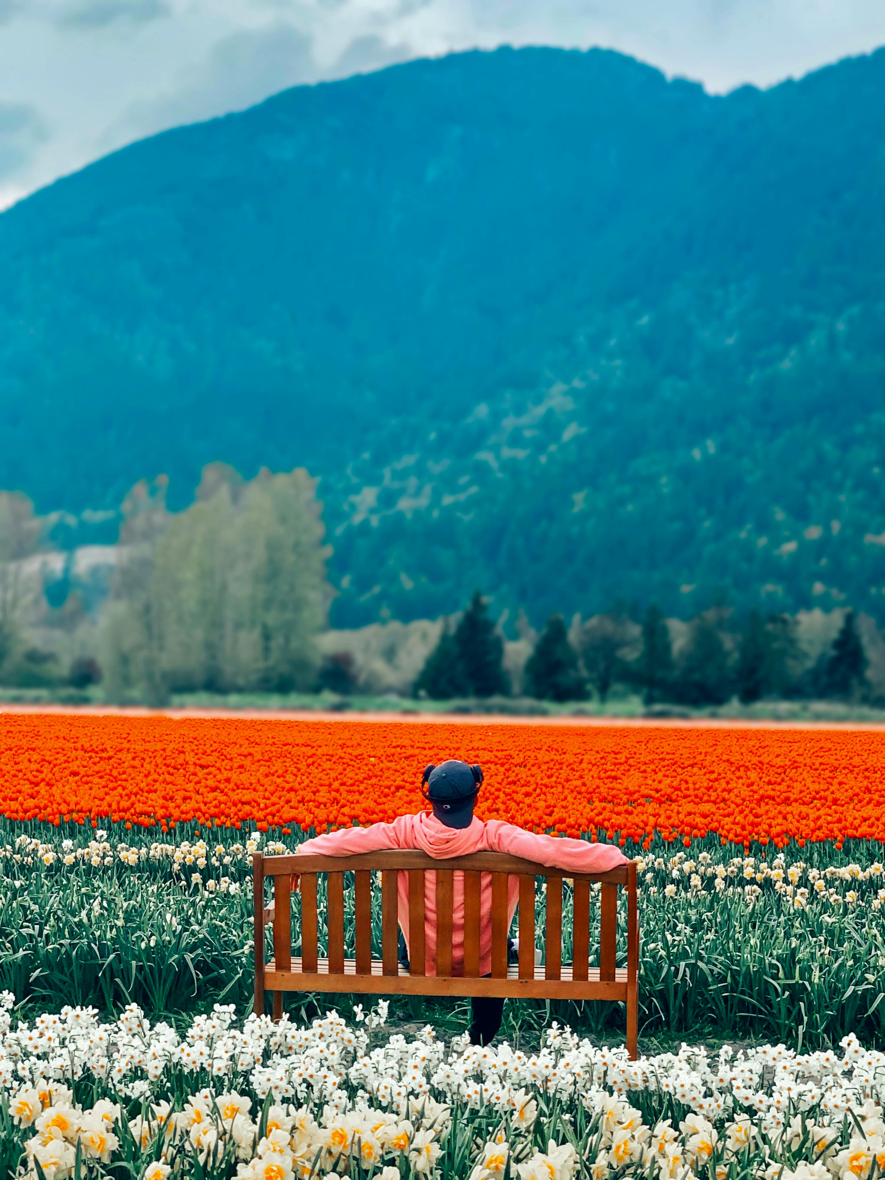 Free Stock Photos, Royalty Free Stock Images & Copyright Free Pictures ...