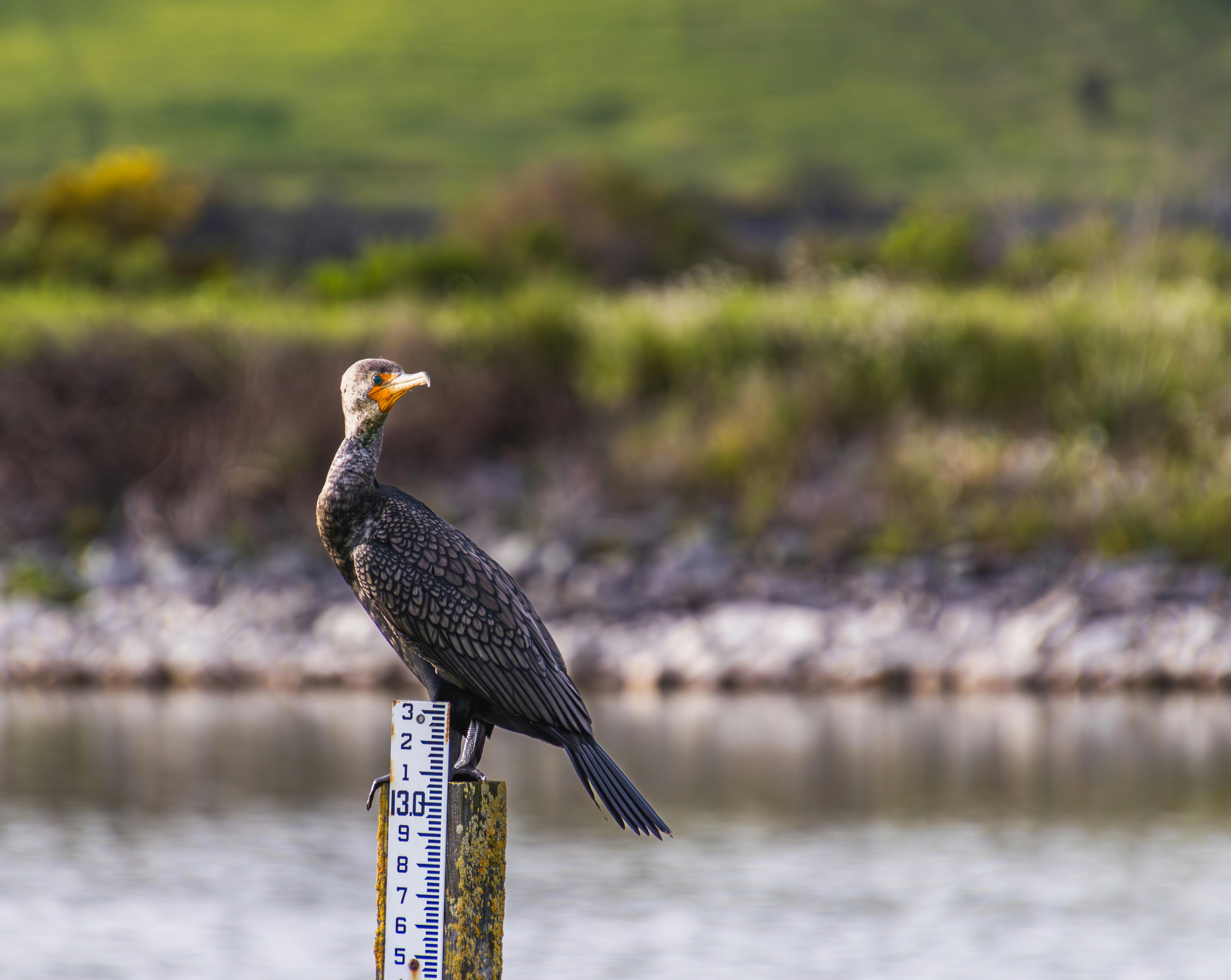 Delta Waterbody Photos, Download The BEST Free Delta Waterbody Stock ...