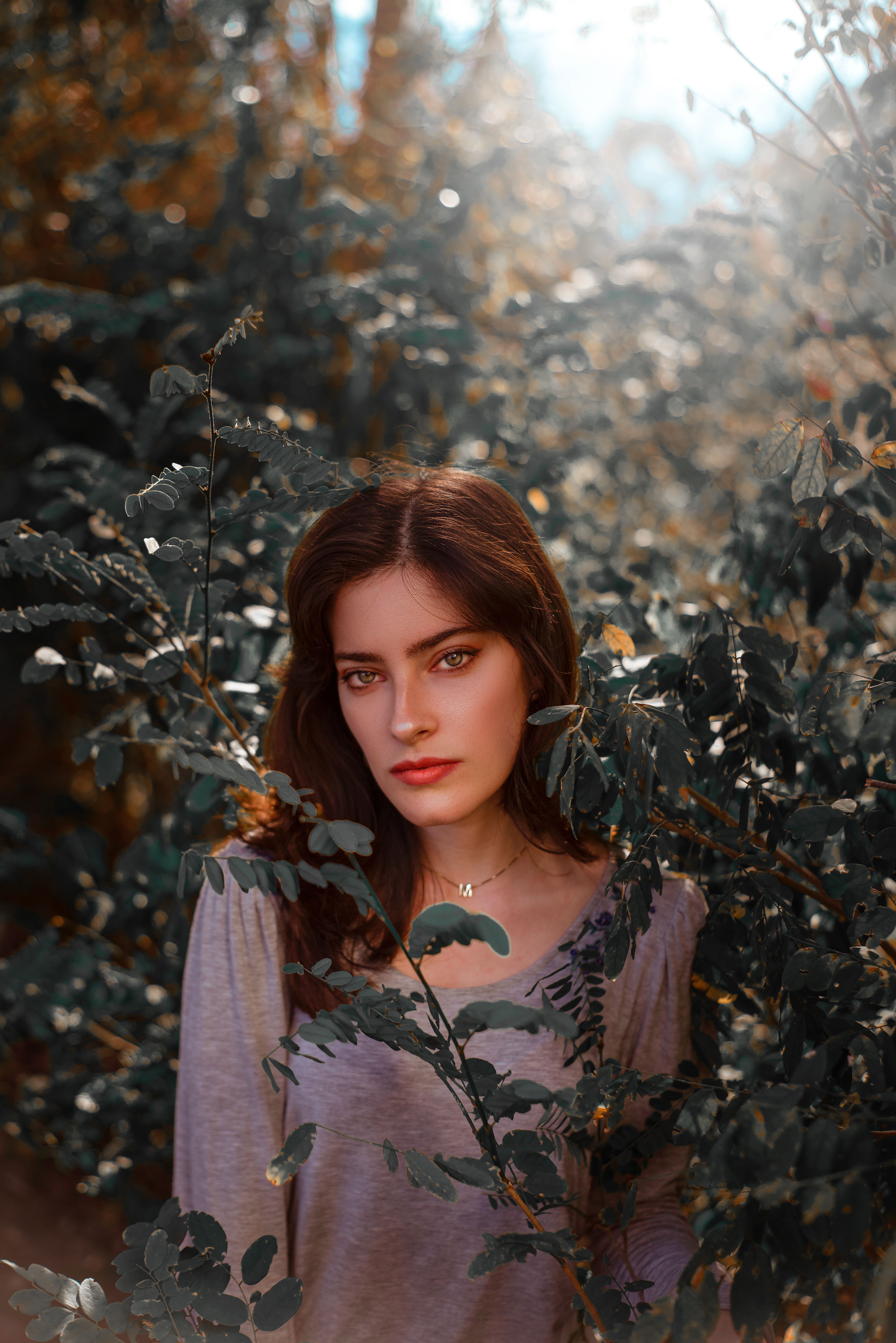 Portrait of Brunette Woman among Bushes · Free Stock Photo