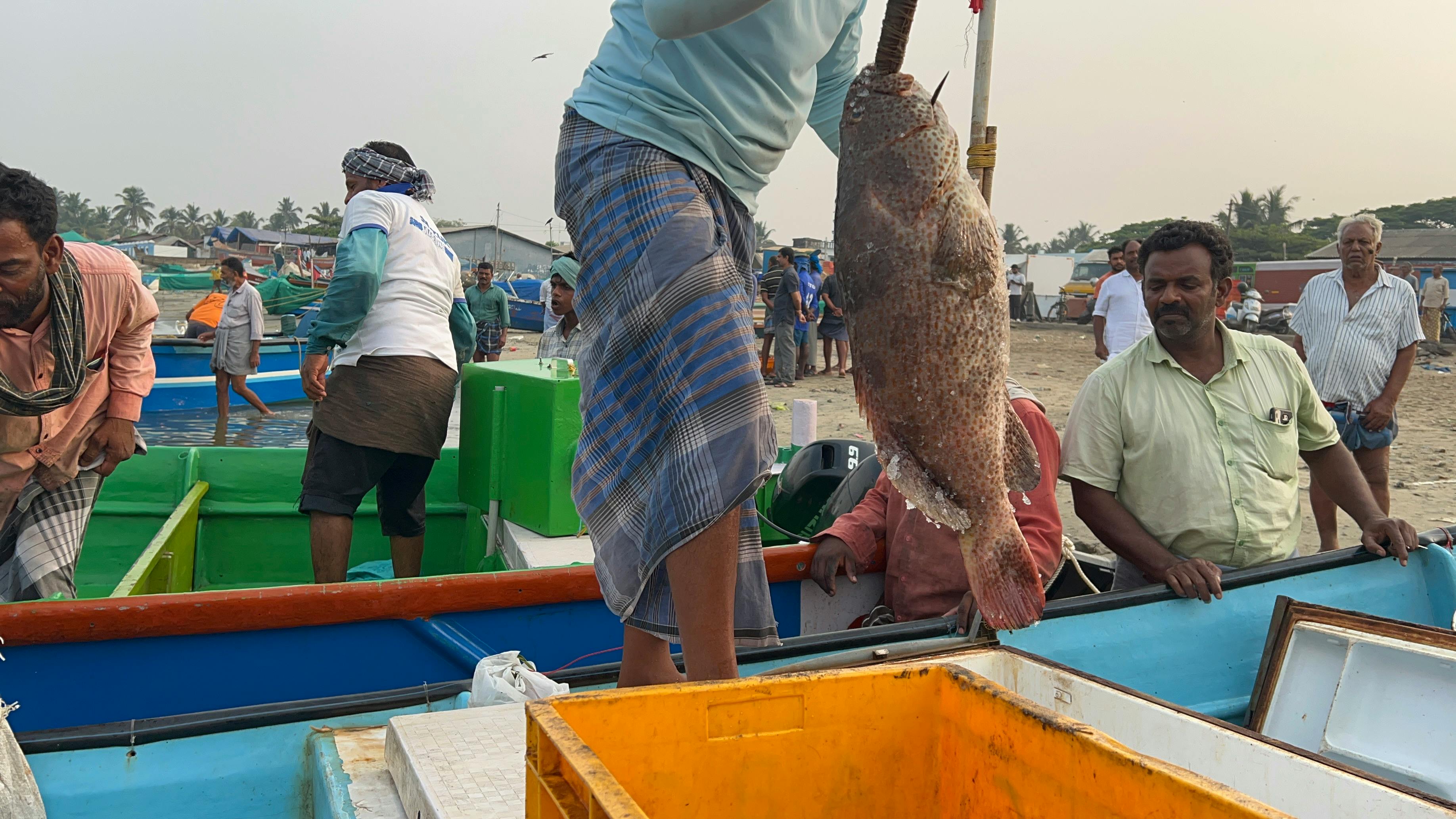 Manoo Media - 사진