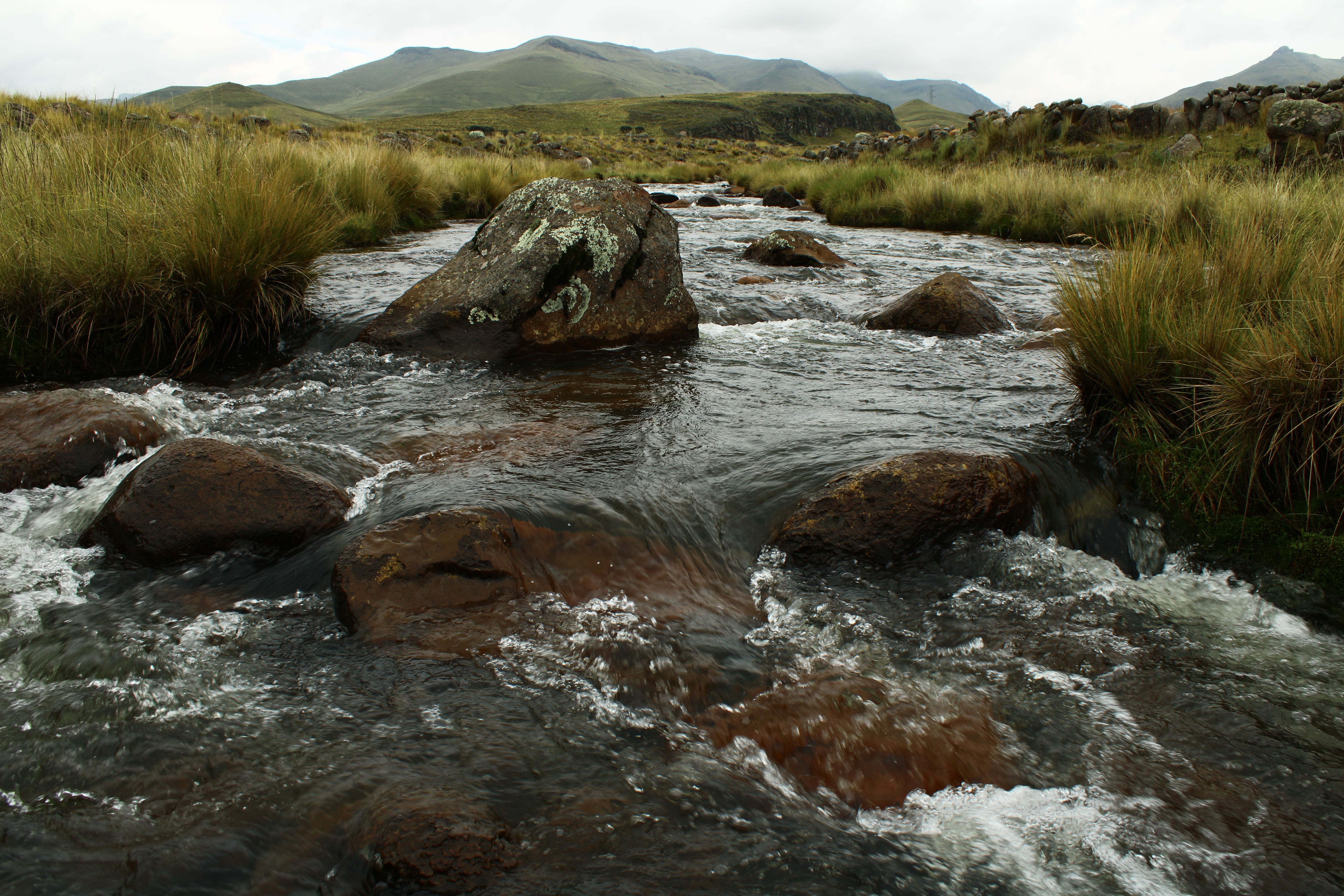 Stream on Grassland in Countryside · Free Stock Photo