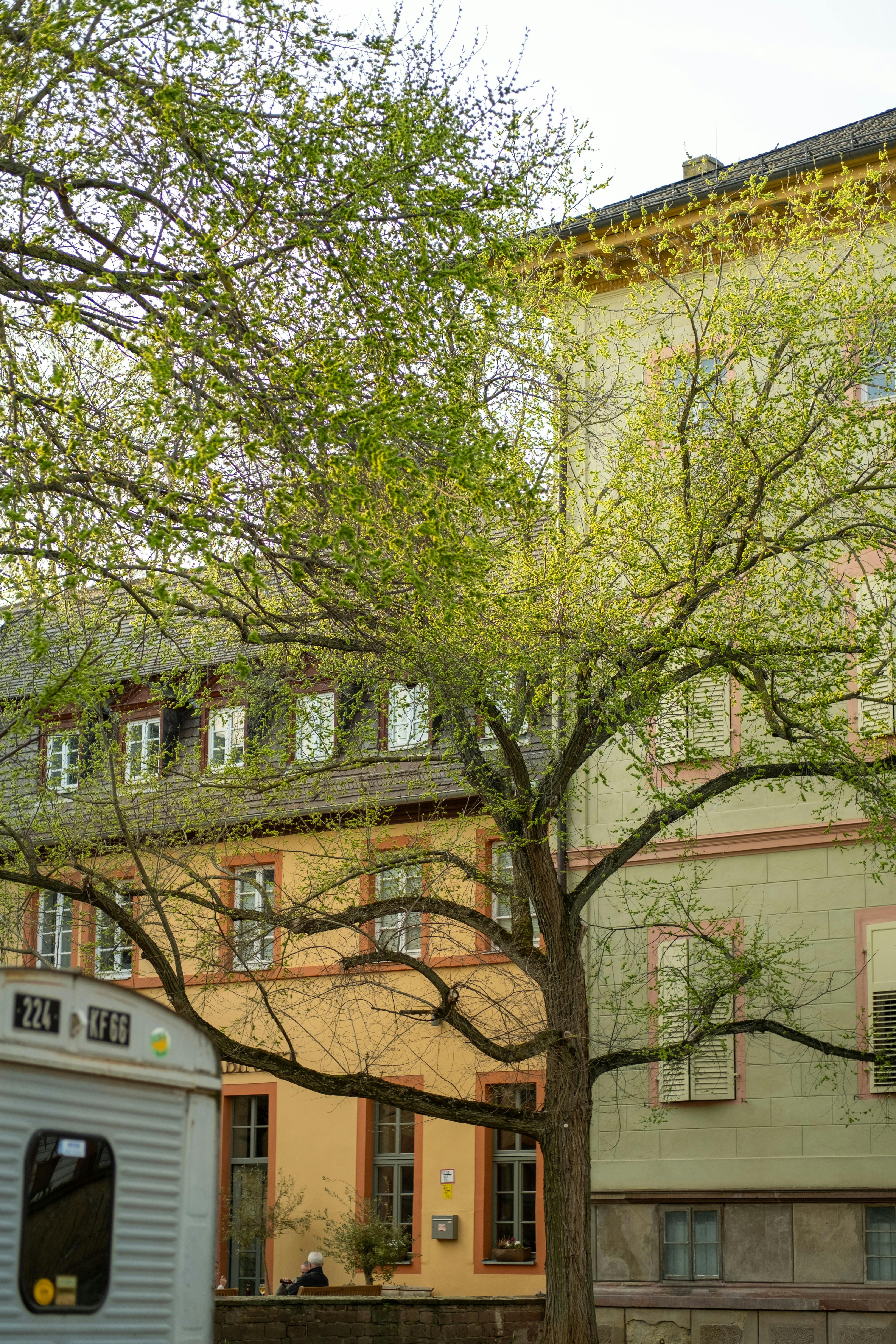 Burj Tree Photos, Download The BEST Free Burj Tree Stock Photos & HD Images