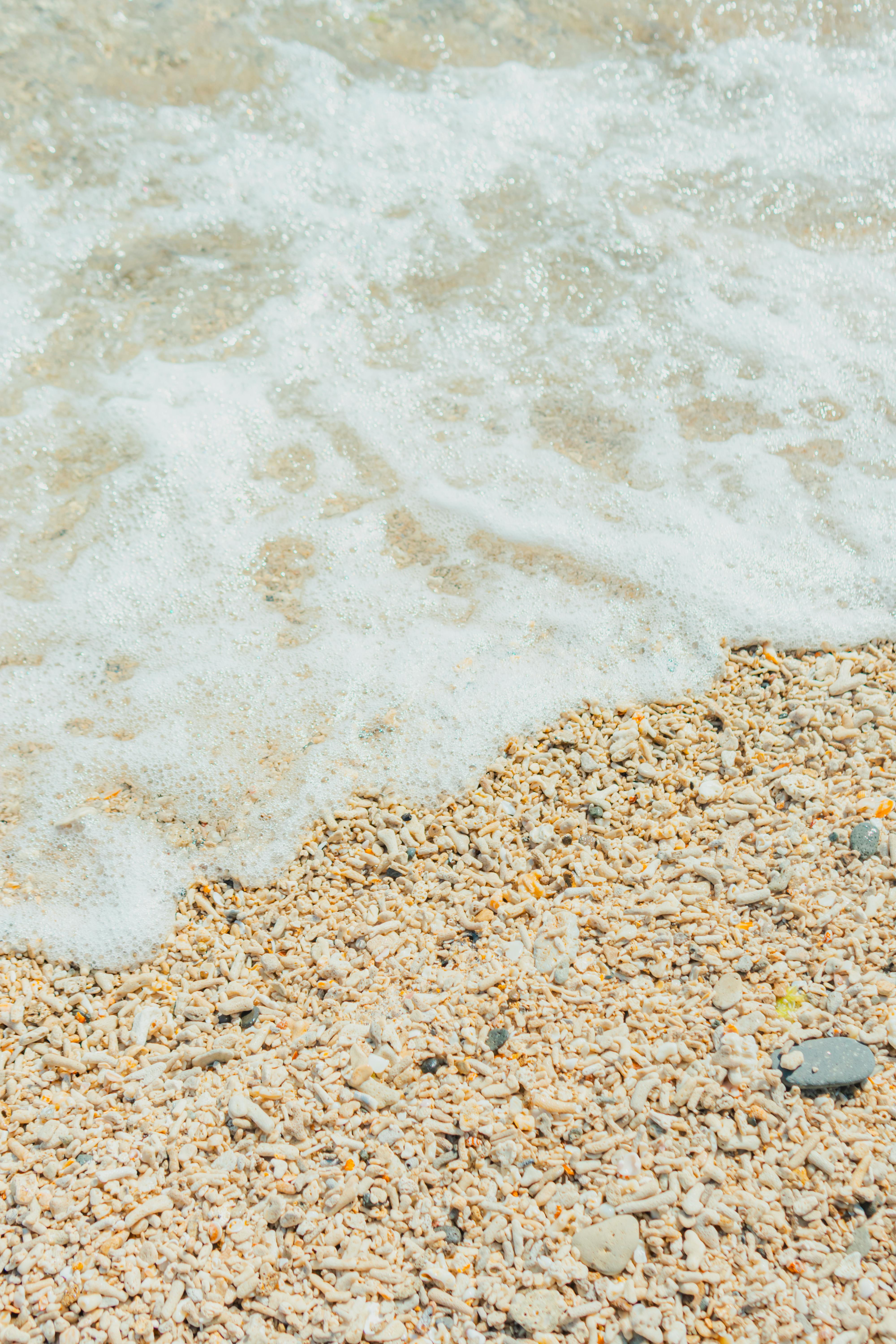 Shallow Water on Sea Shore · Free Stock Photo