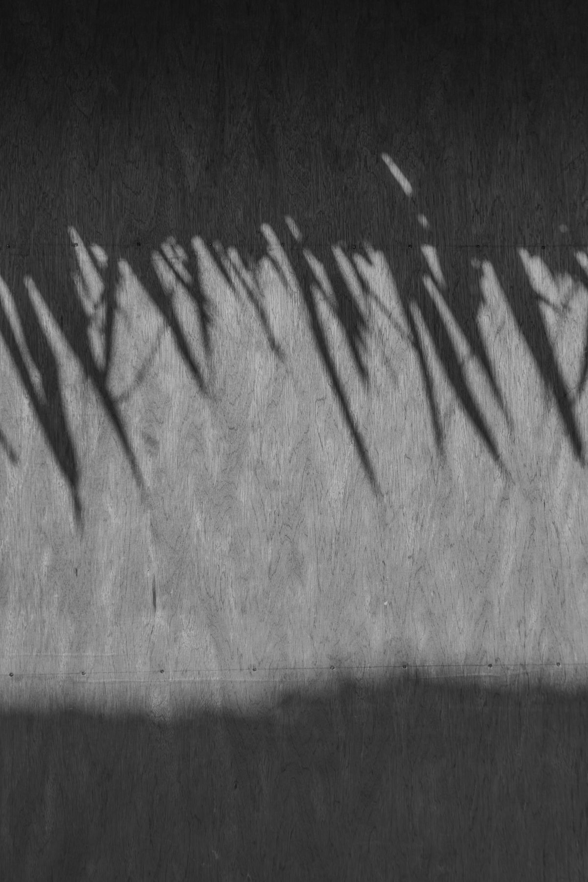 Shadows Photos, Download The BEST Free Shadows Stock Photos & HD Images