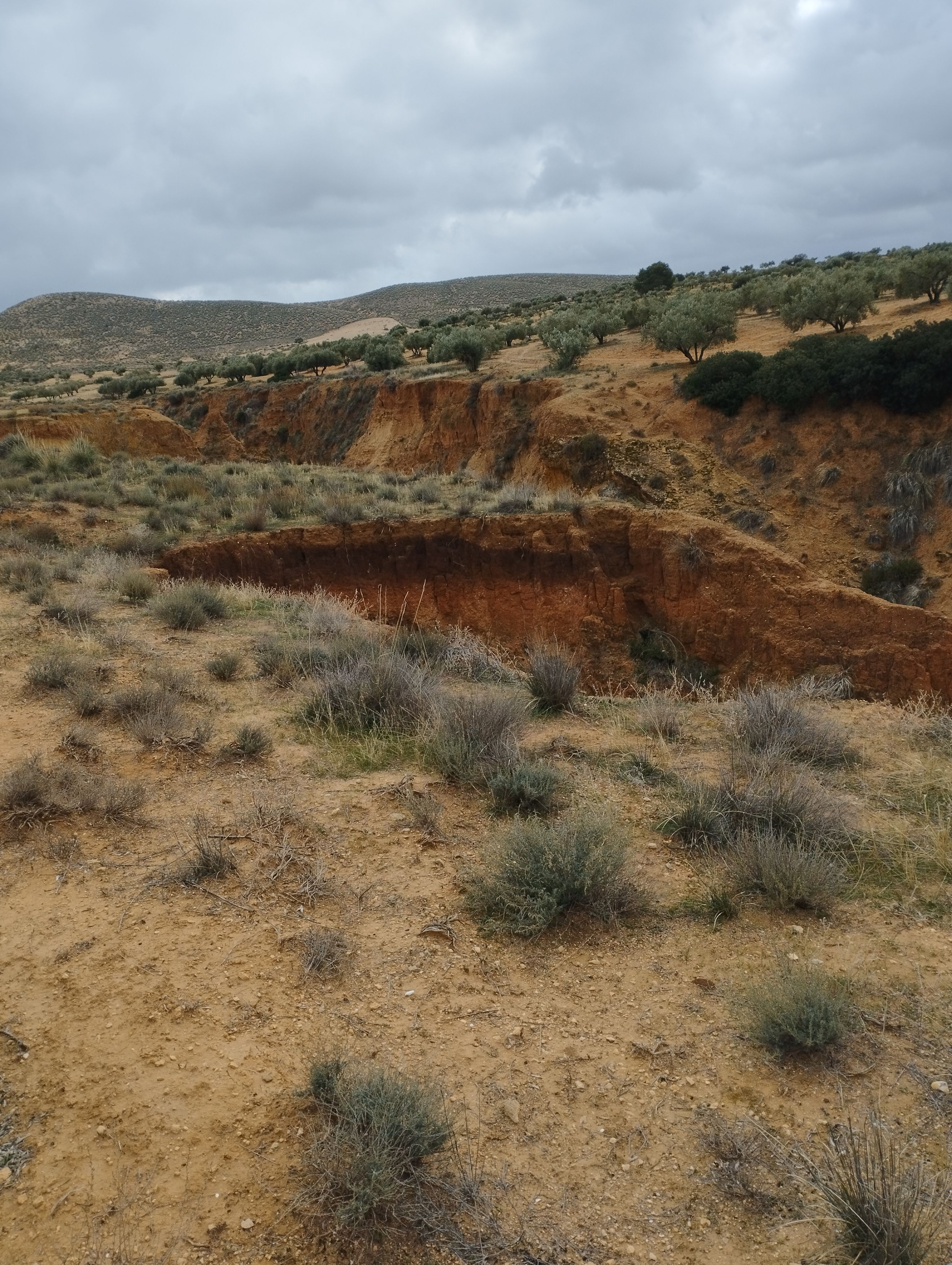 Arid Landscape with Sandstone Cliffs under a Cloudy Sky · Free Stock Photo