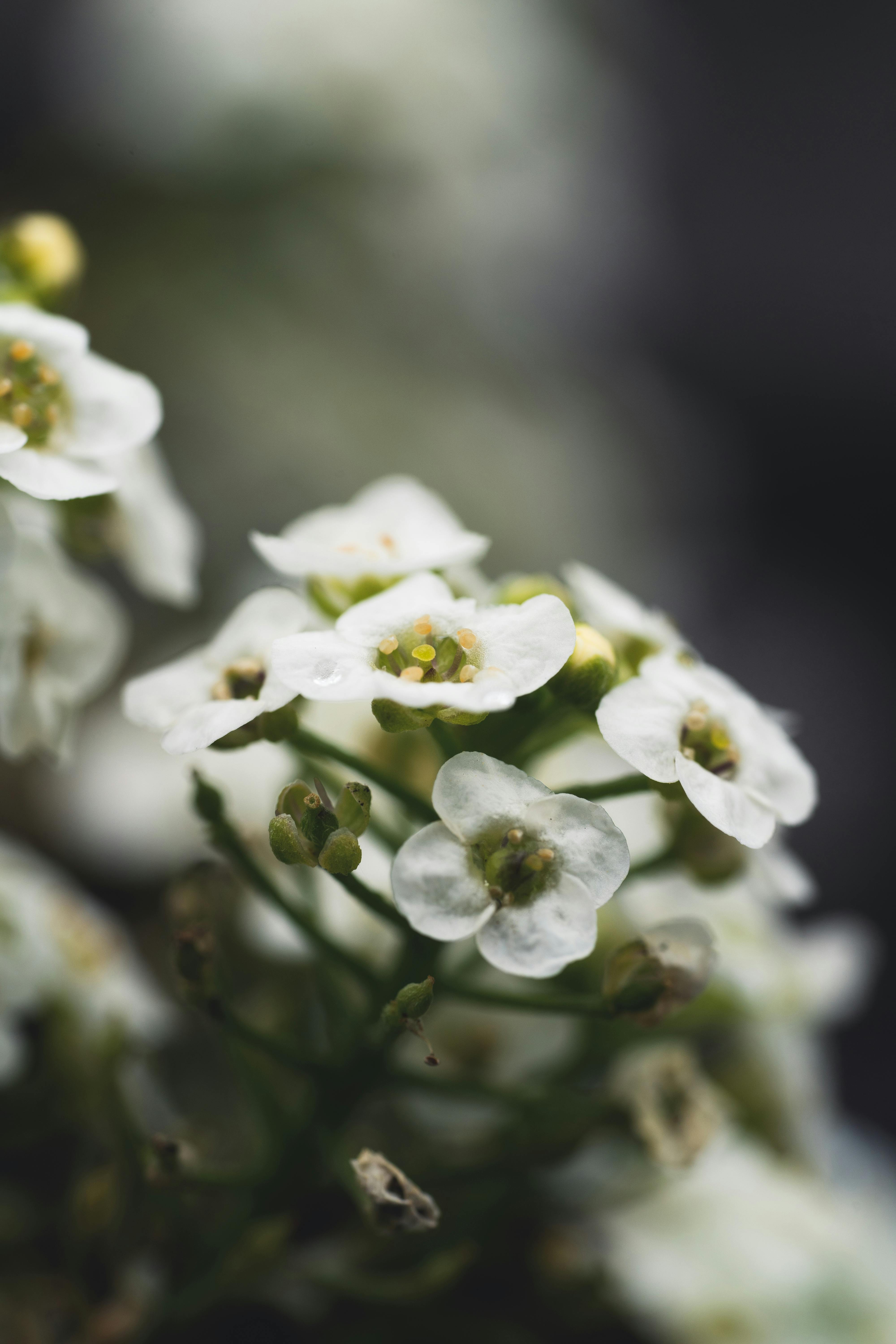 Life Skill Image Photos, Download The BEST Free Life Skill Image Stock ...