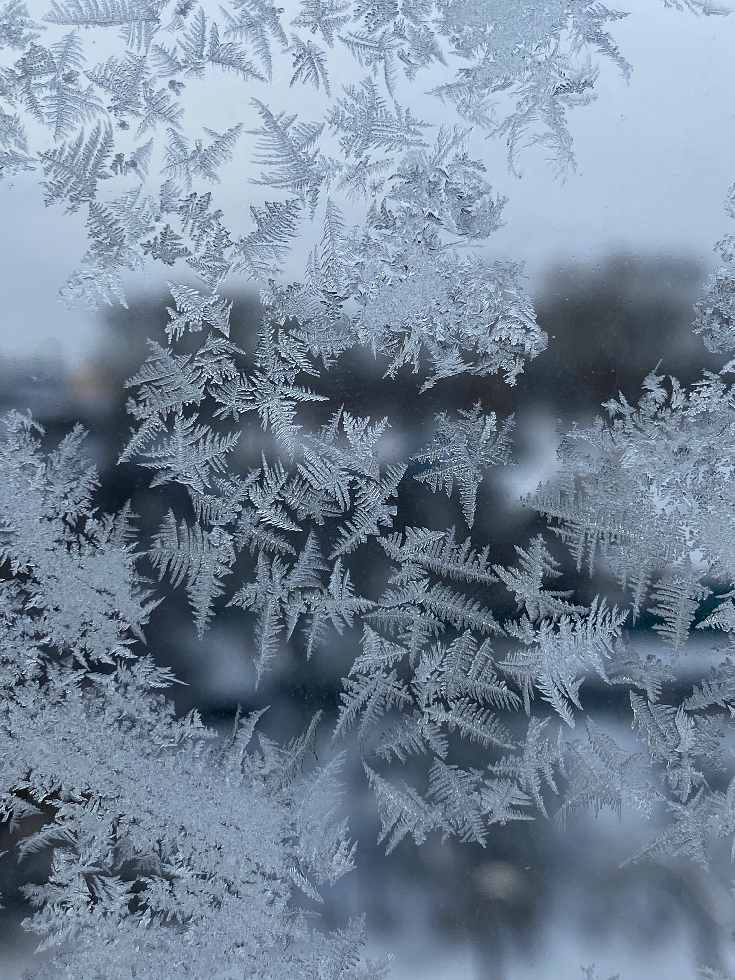 Frost Pattern on Glass · Free Stock Photo