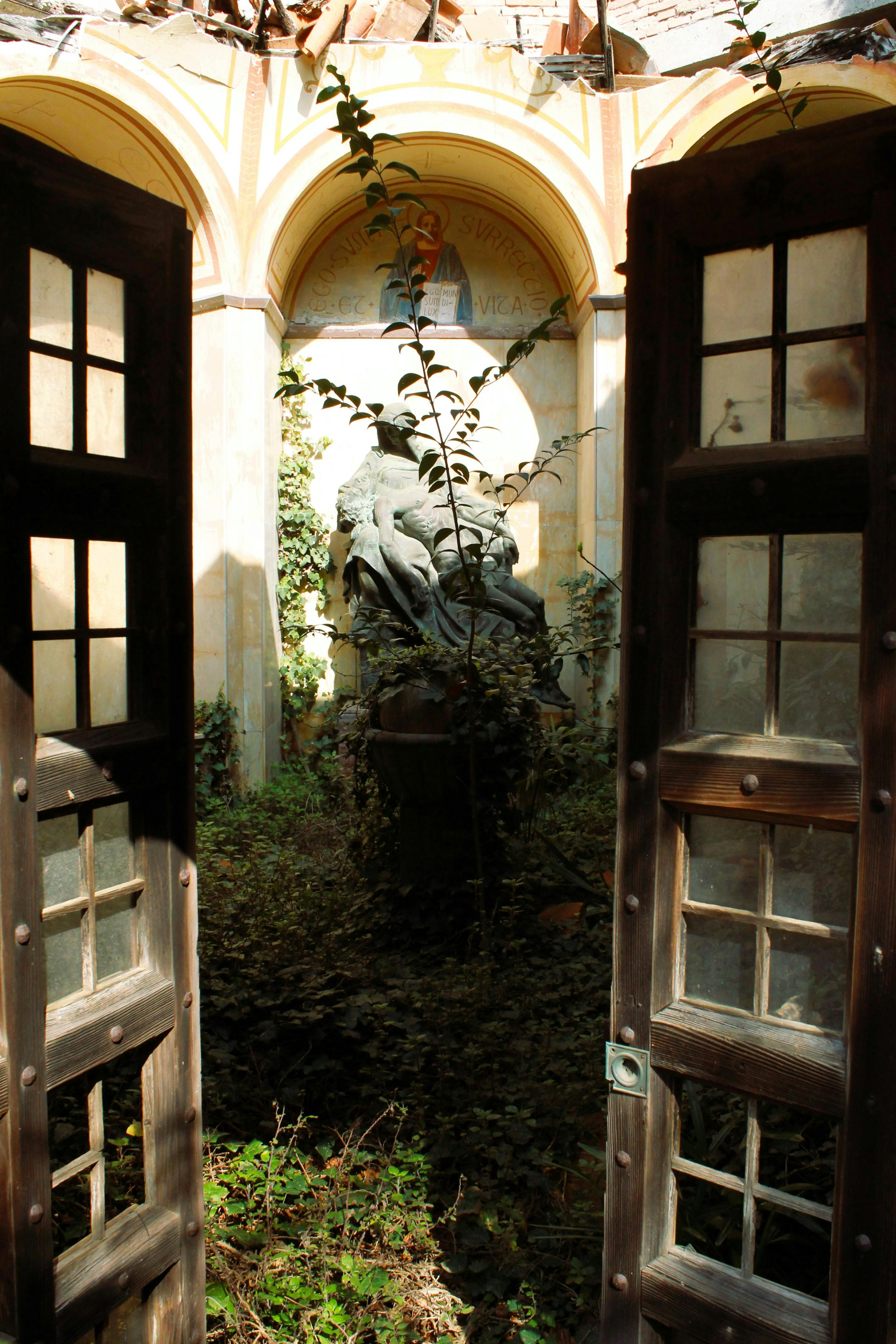 Statue Overgrown by Vines in Abandoned Building · Free Stock Photo