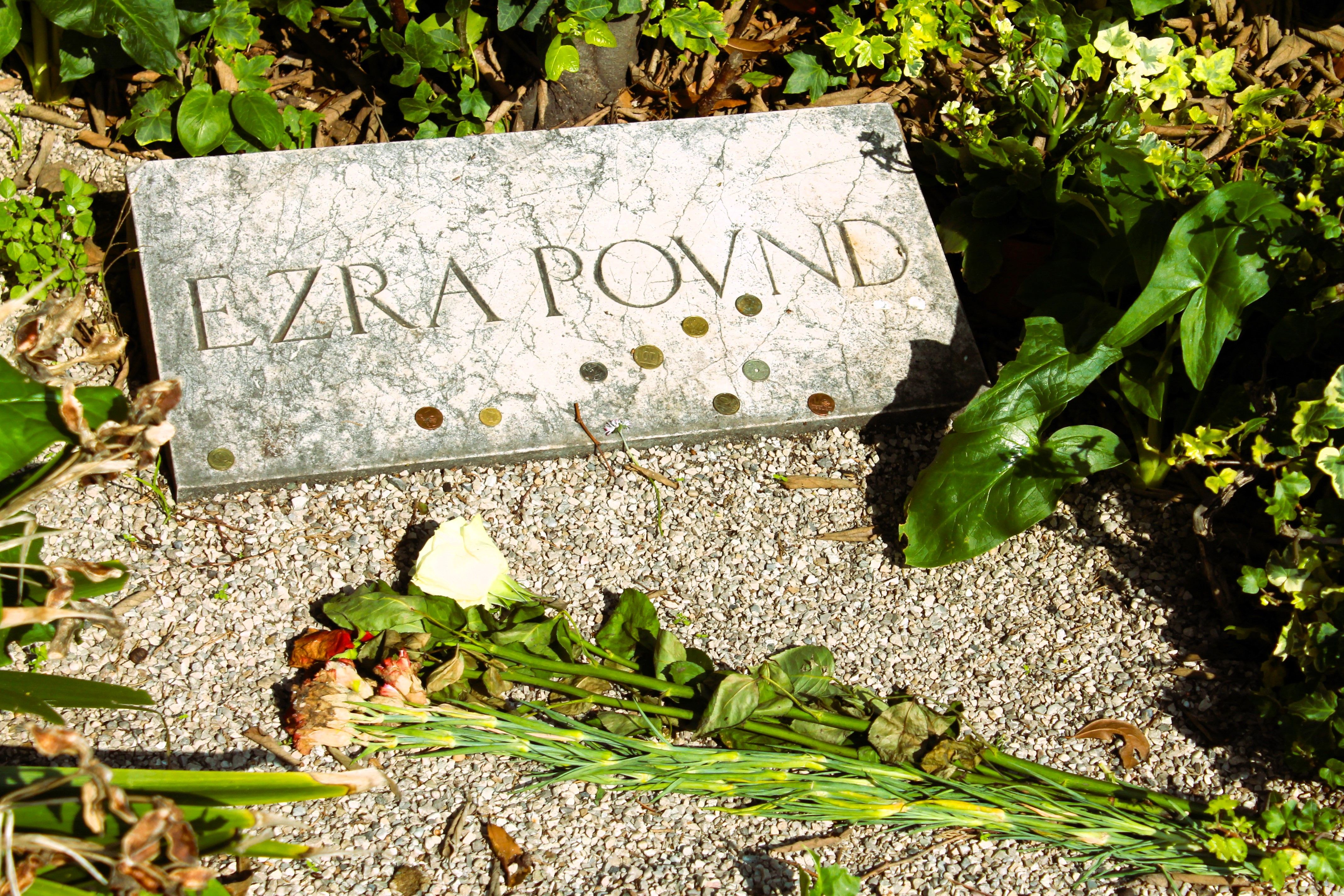 Flat Gravestone with a Name On It · Free Stock Photo