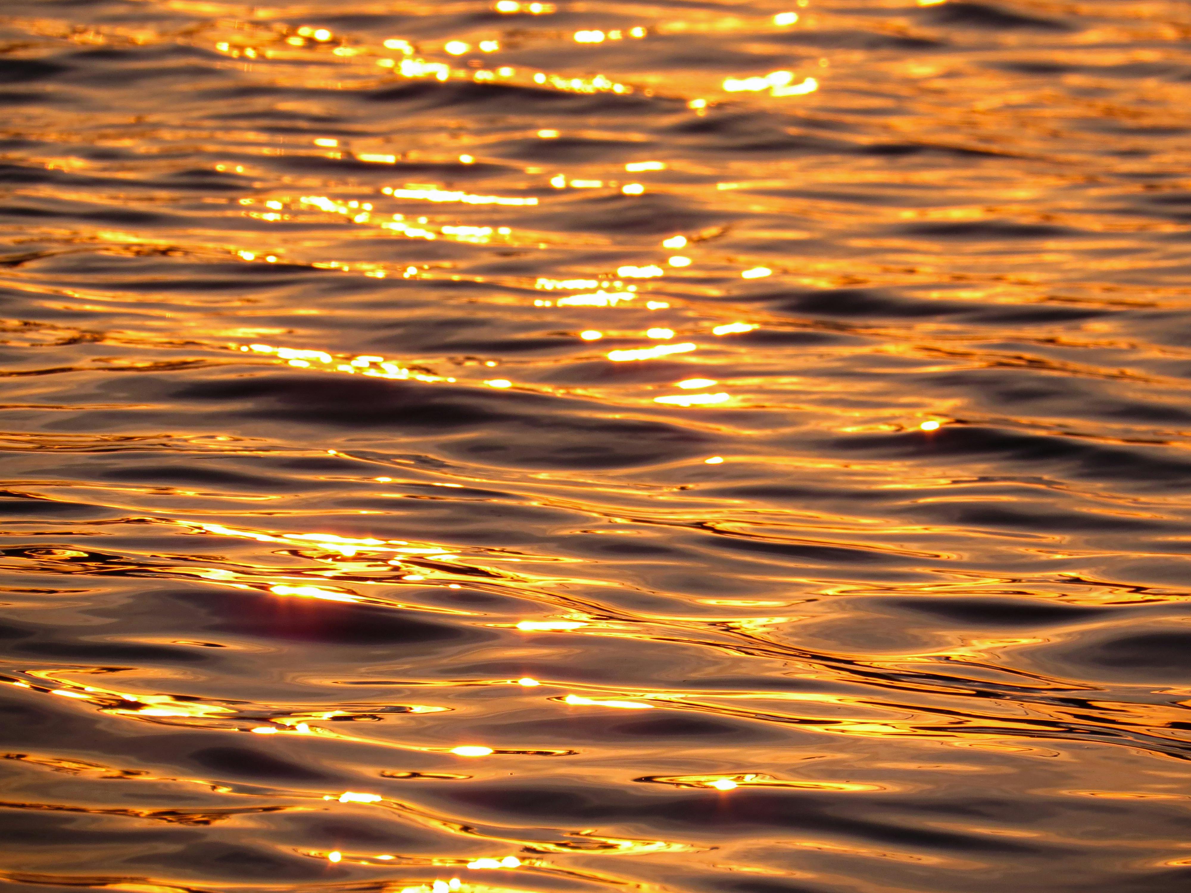 Shiny, Wavy Water at Sunset · Free Stock Photo