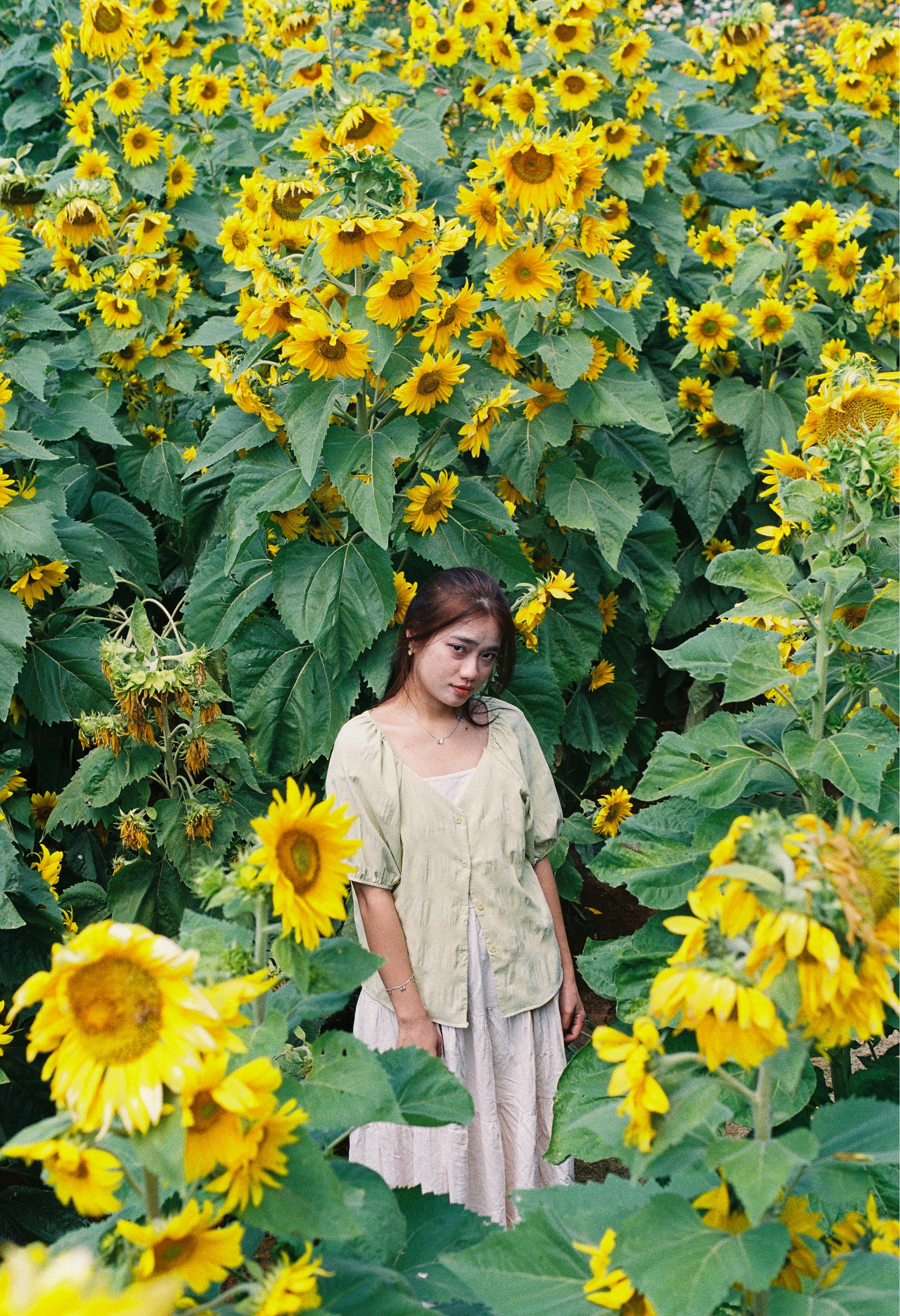 Emily Field Model Photos, Download The BEST Free Emily Field Model ...