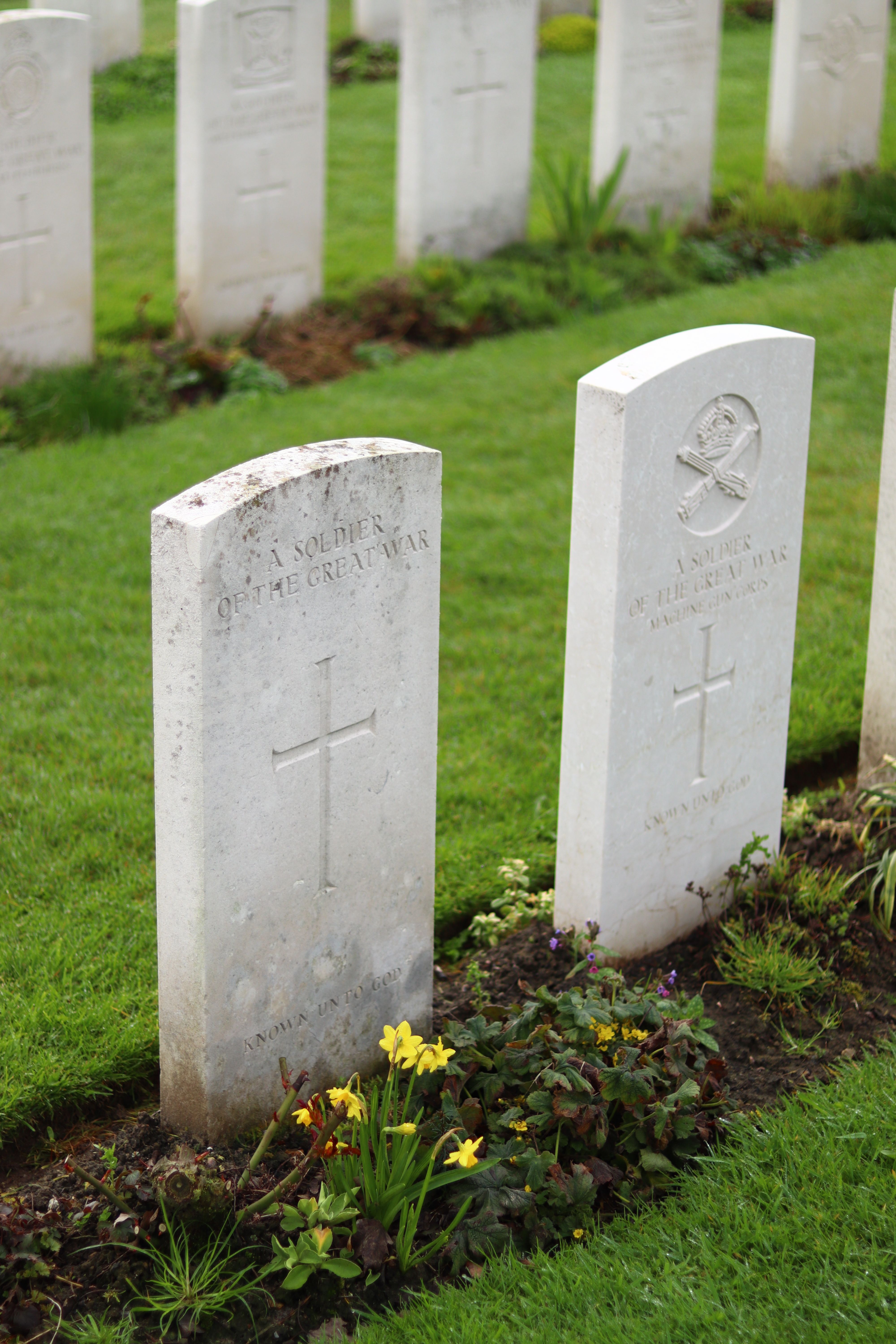 The graves of soldiers in a field · Free Stock Photo