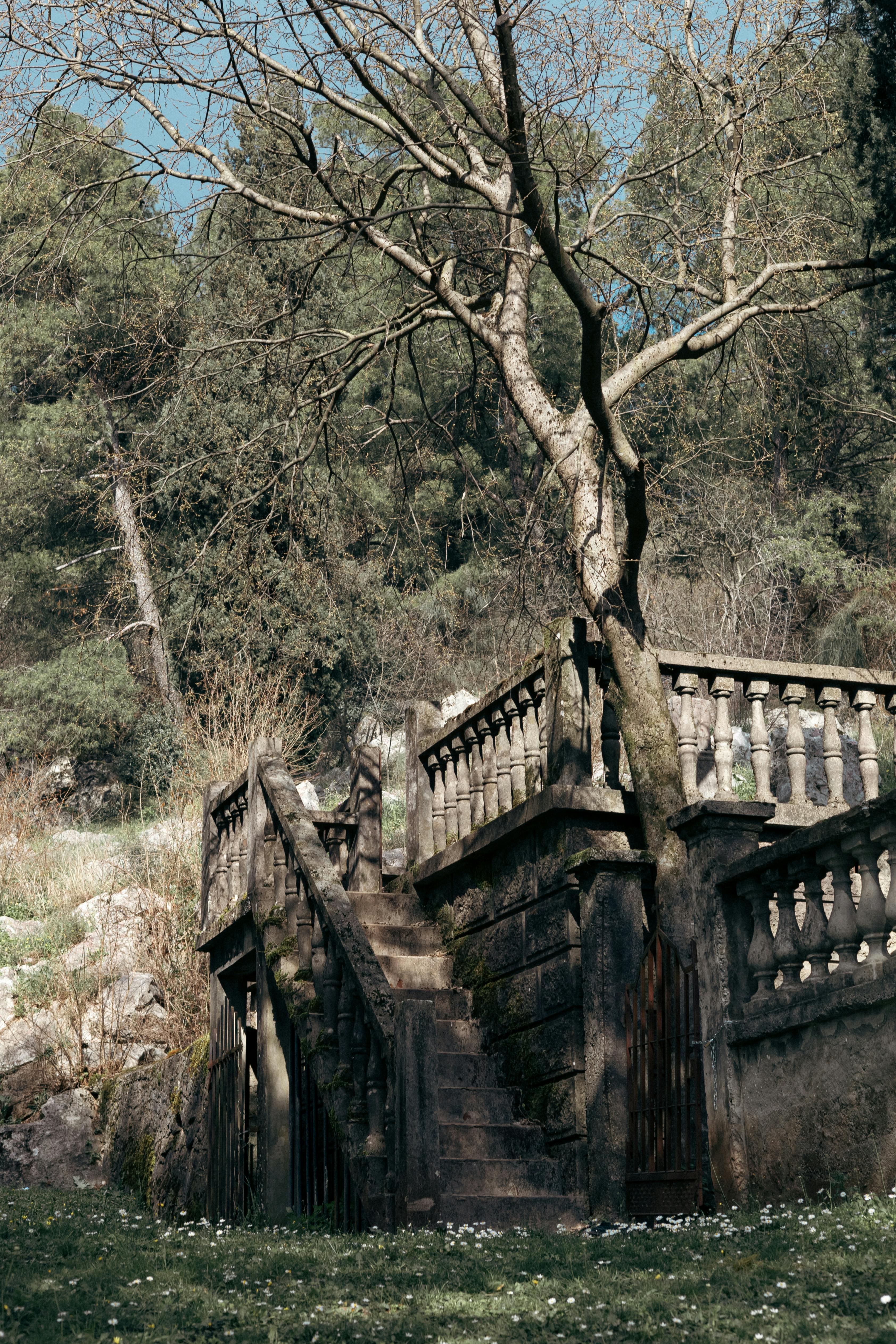 Stone Stairs in Cemetery · Free Stock Photo