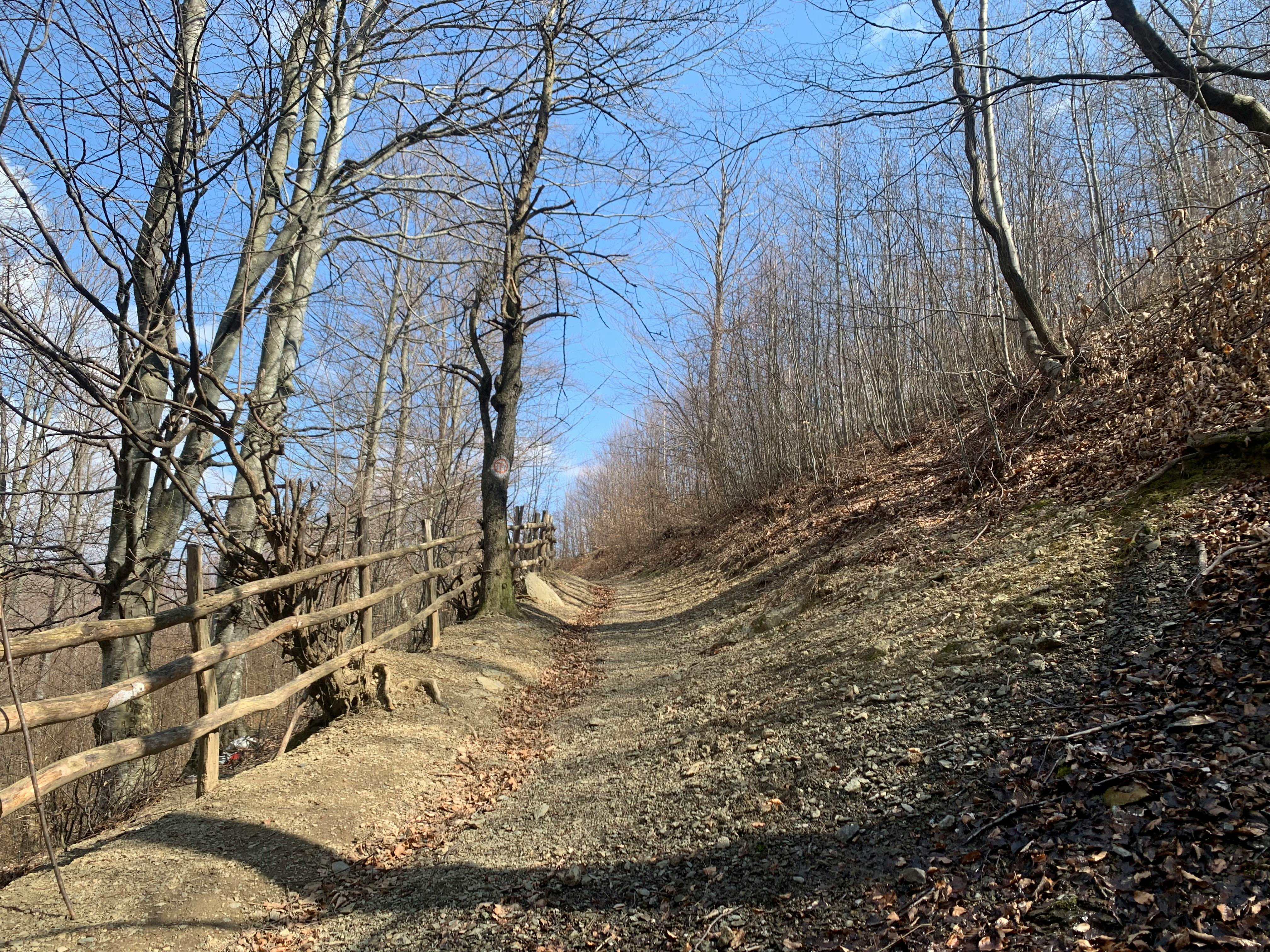 Wooden Fence Along Footpath in Countryside · Free Stock Photo