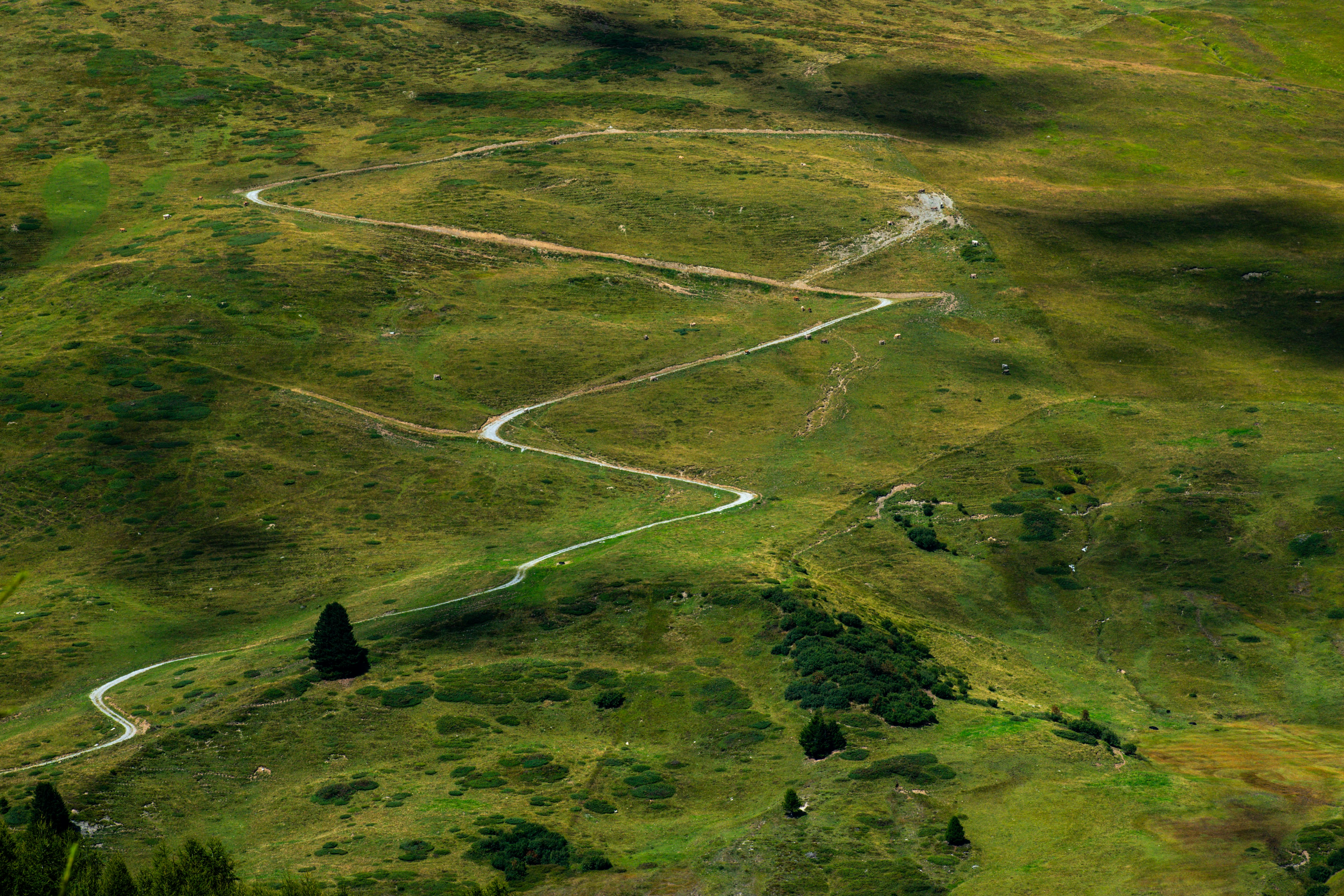 Aerial View of Road Running across Grass Fields · Free Stock Photo