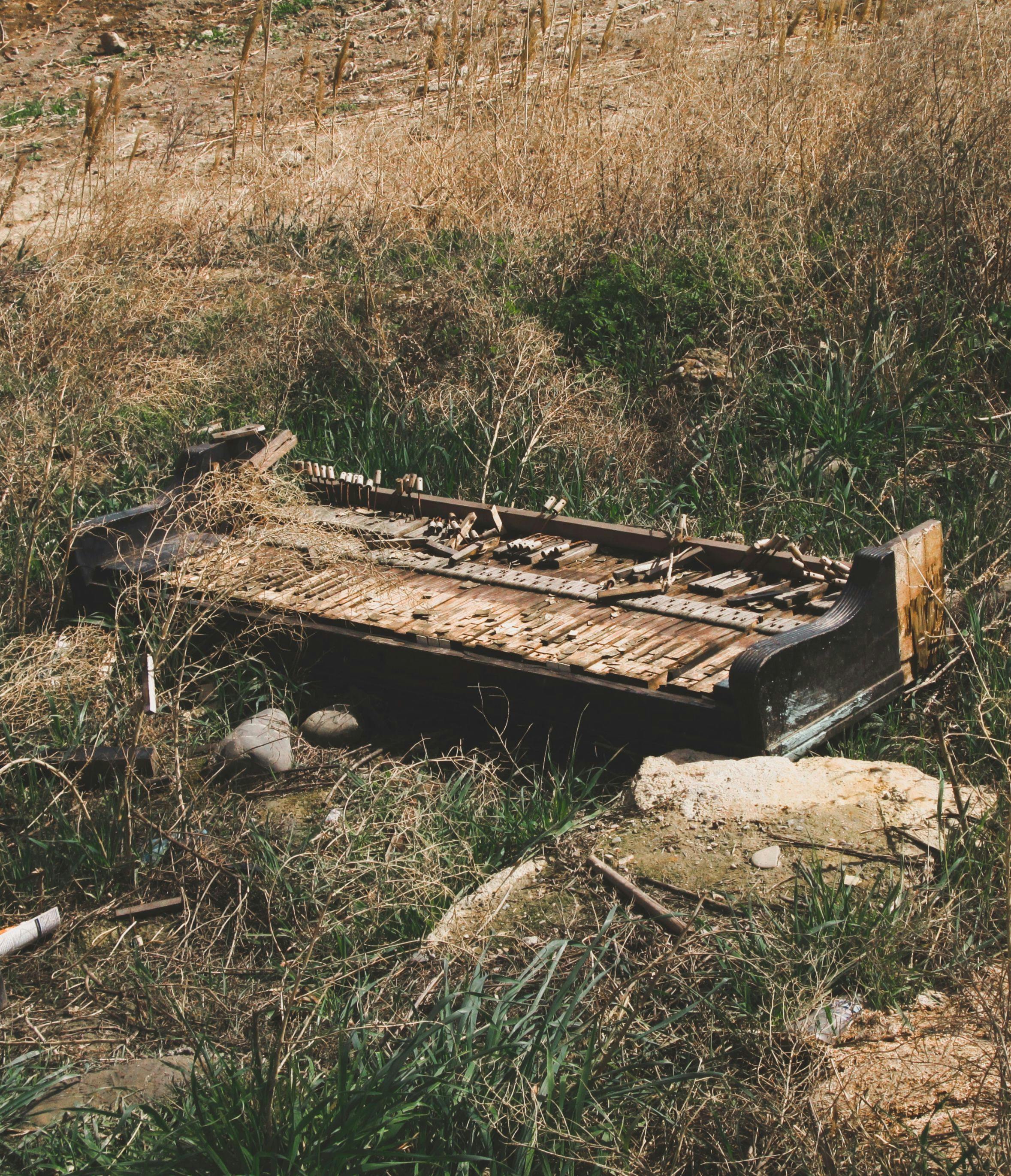 Wood Dust Landscape Photos, Download The BEST Free Wood Dust Landscape ...