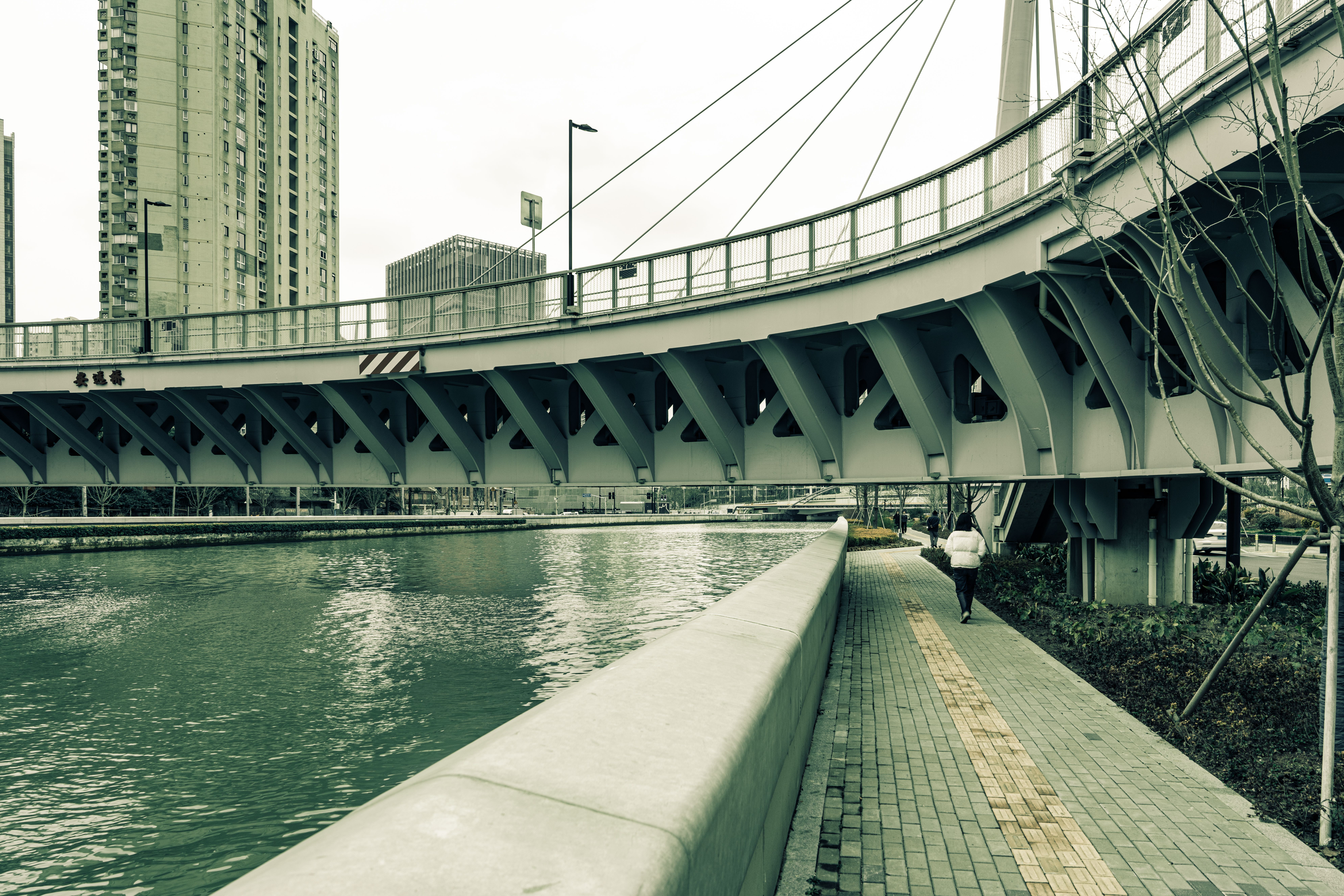 Walkway under Bridge along River Bank · Free Stock Photo