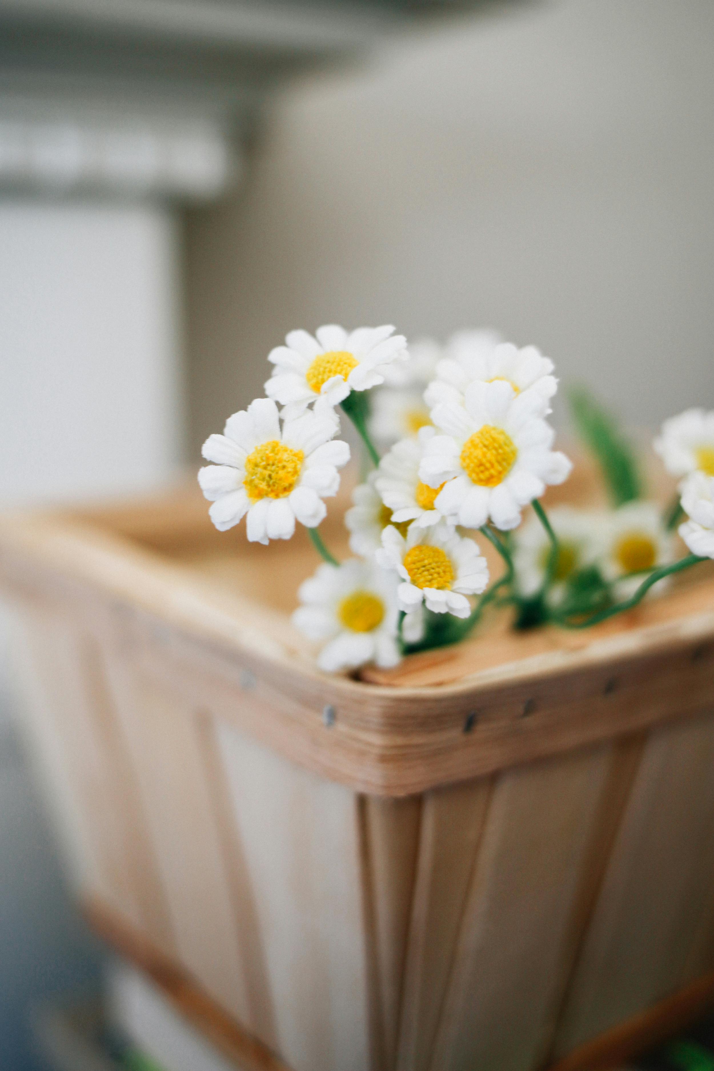 Artificial Daisies Lying on Wooden Box · Free Stock Photo
