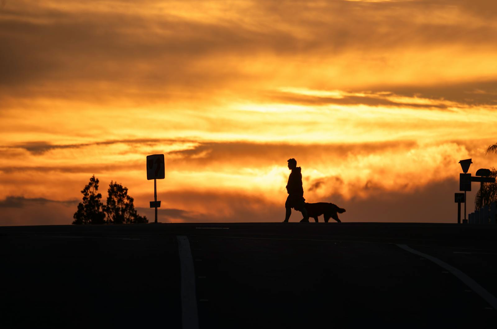 Road Man Photos, Download The BEST Free Road Man Stock Photos & HD Images