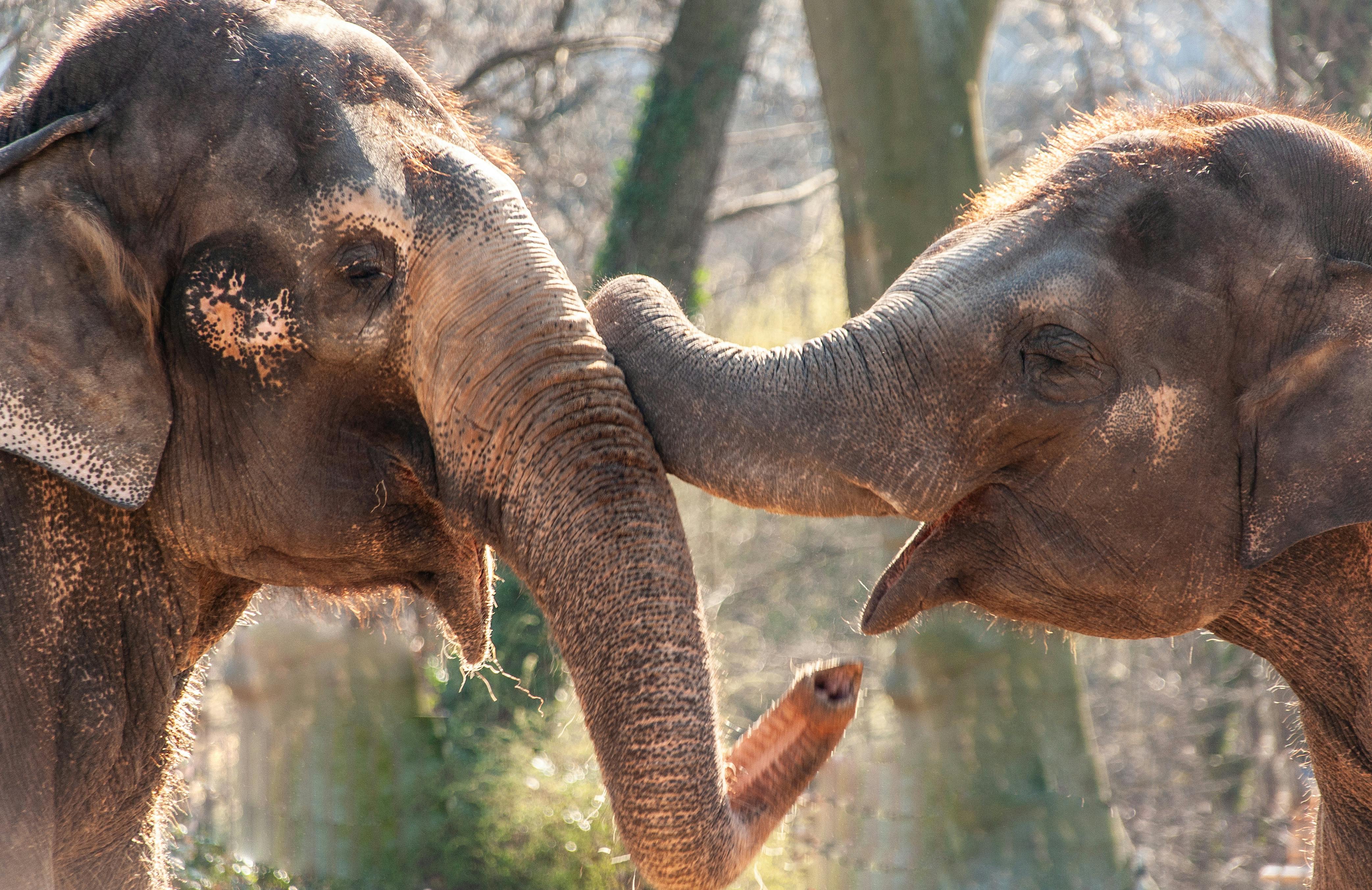 Huge Resolution Photos, Download The BEST Free Huge Resolution Stock ...