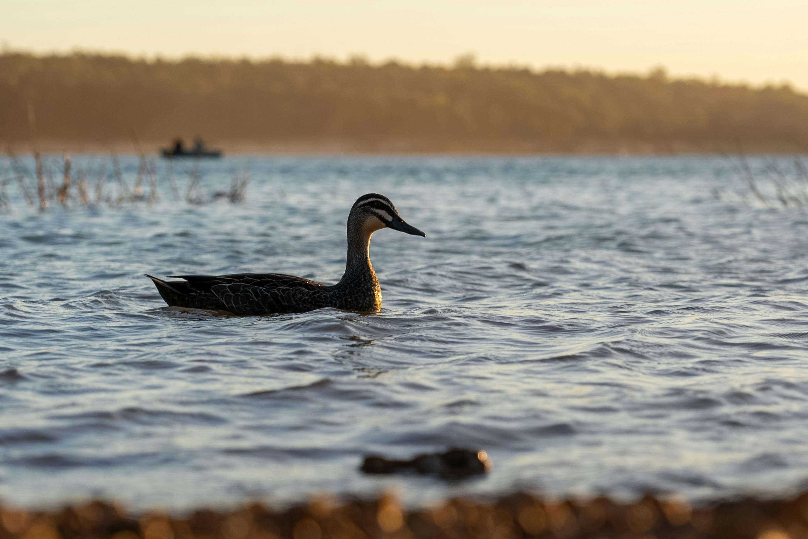 Zane Holmes - Photography