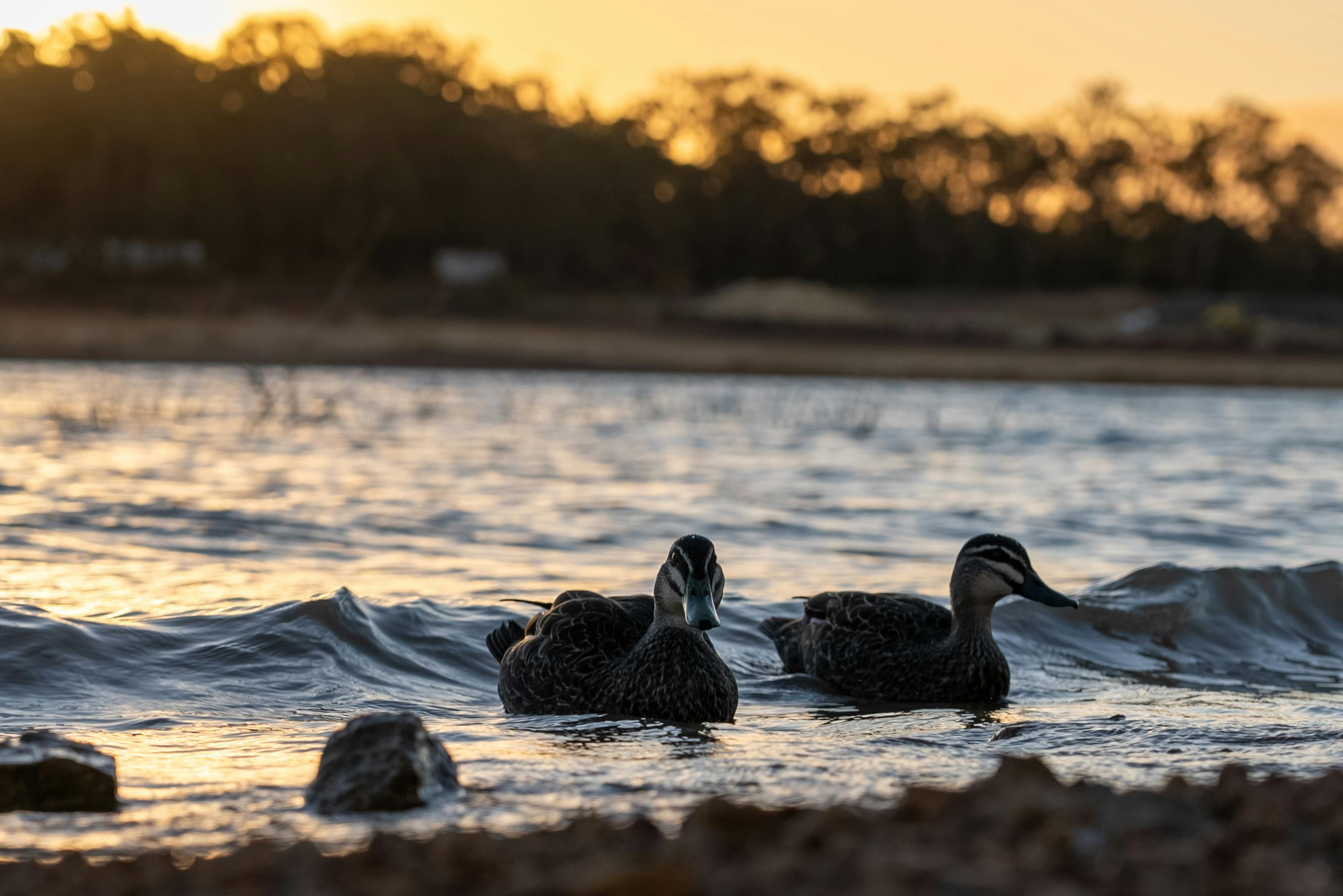 Zane Holmes - Photography