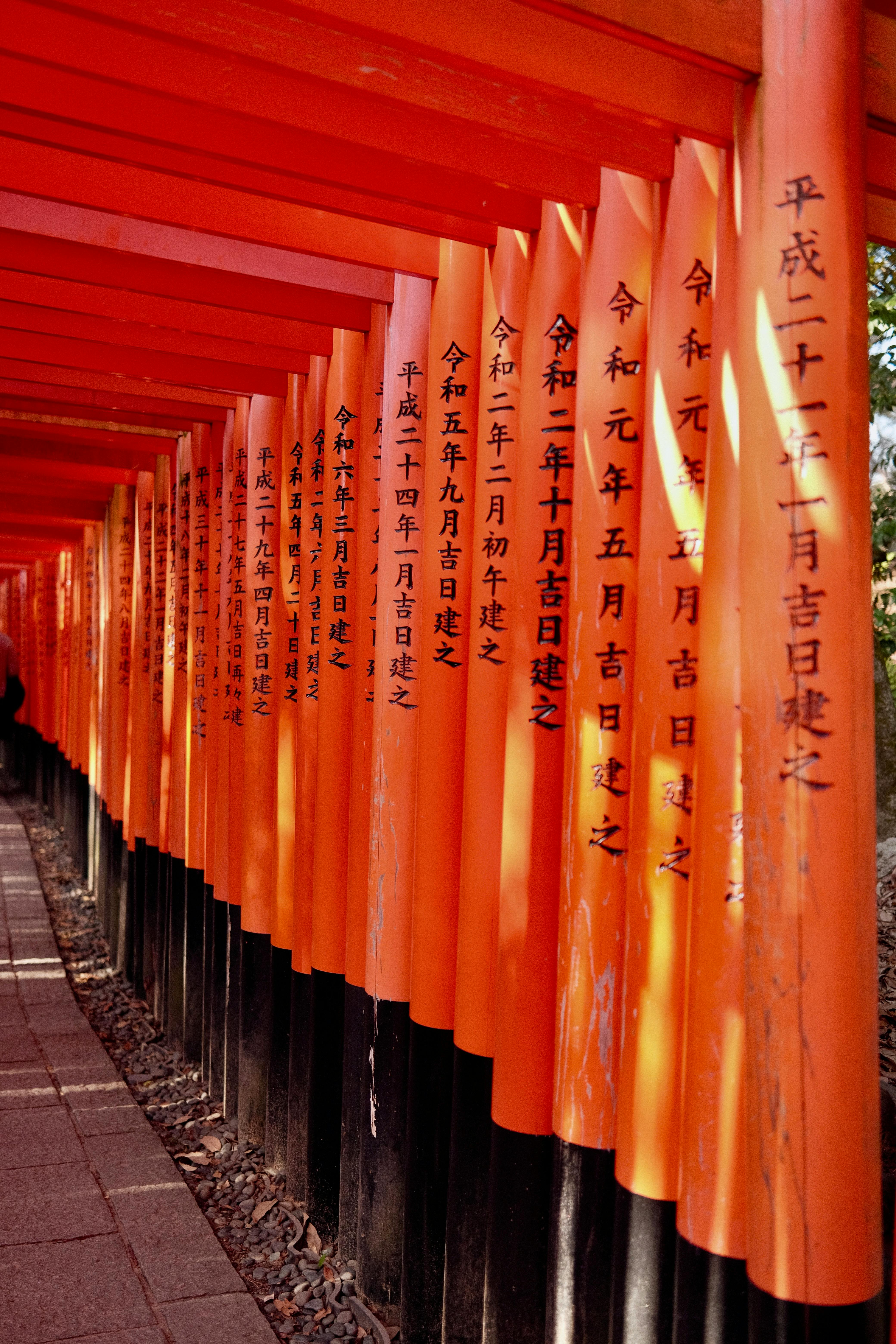 A row of orange tori gates with chinese writing · Free Stock Photo