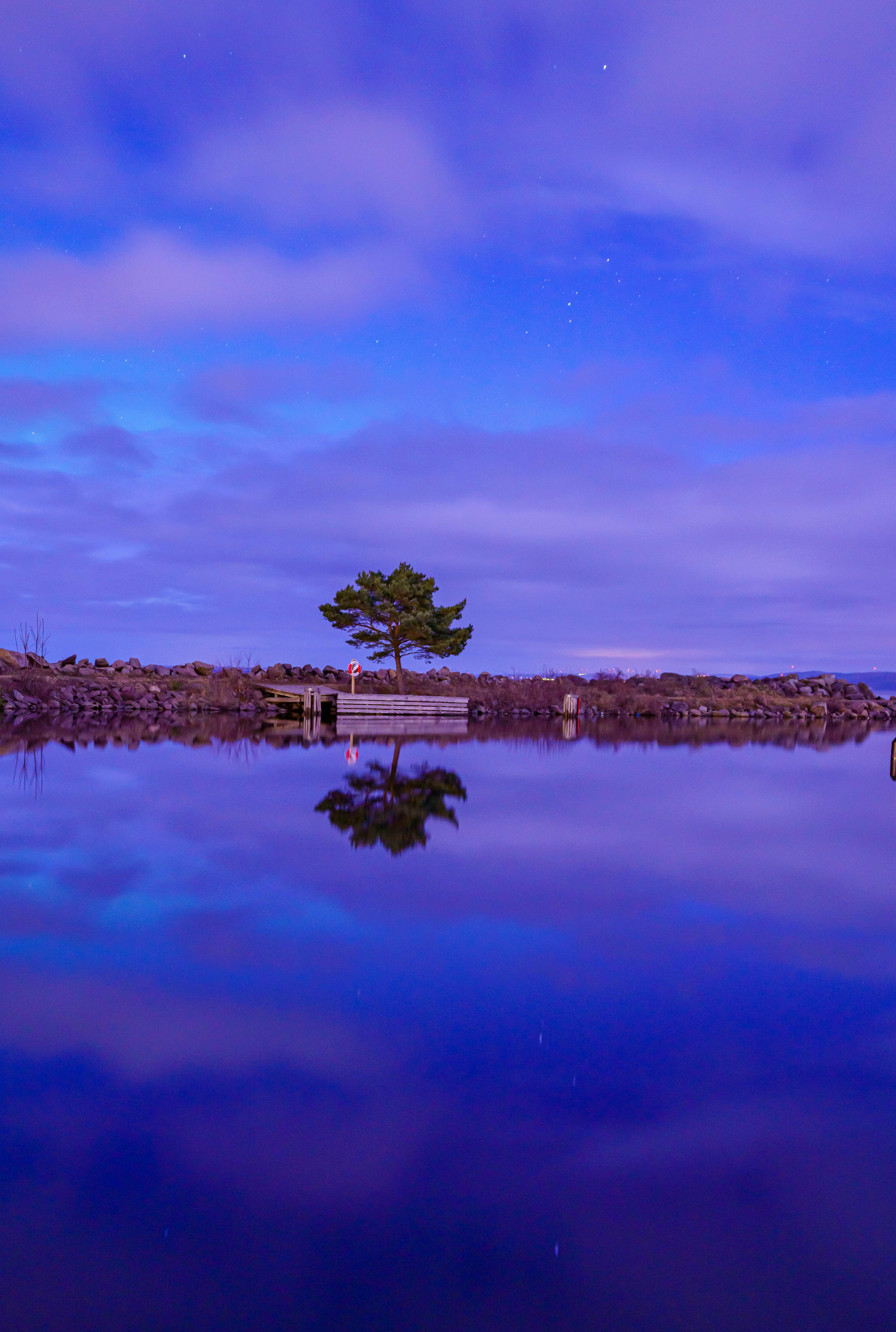 Perfect Reflection In the Water · Free Stock Photo