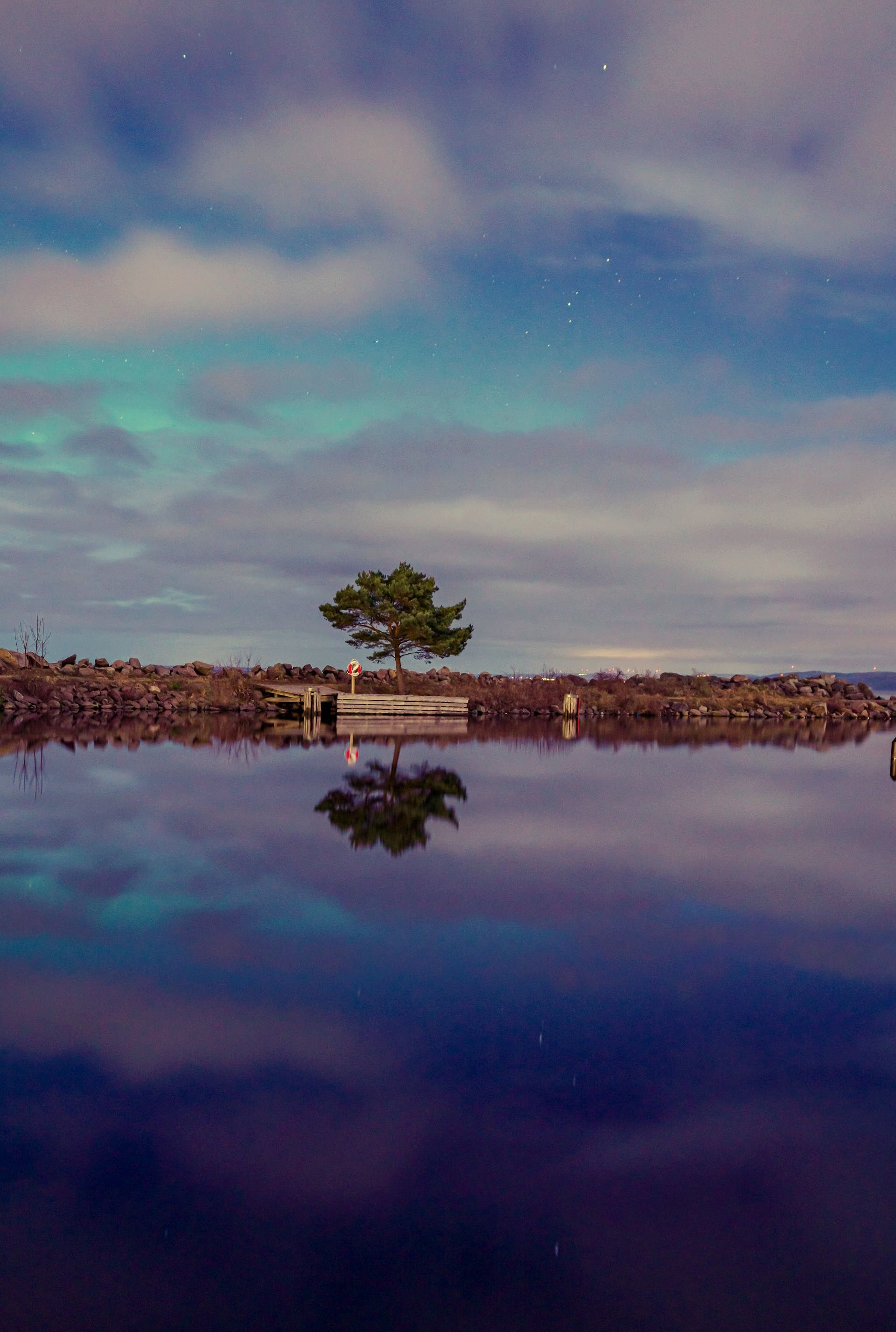 Tree on the Lakeshore Reflected in the Lake Water · Free Stock Photo