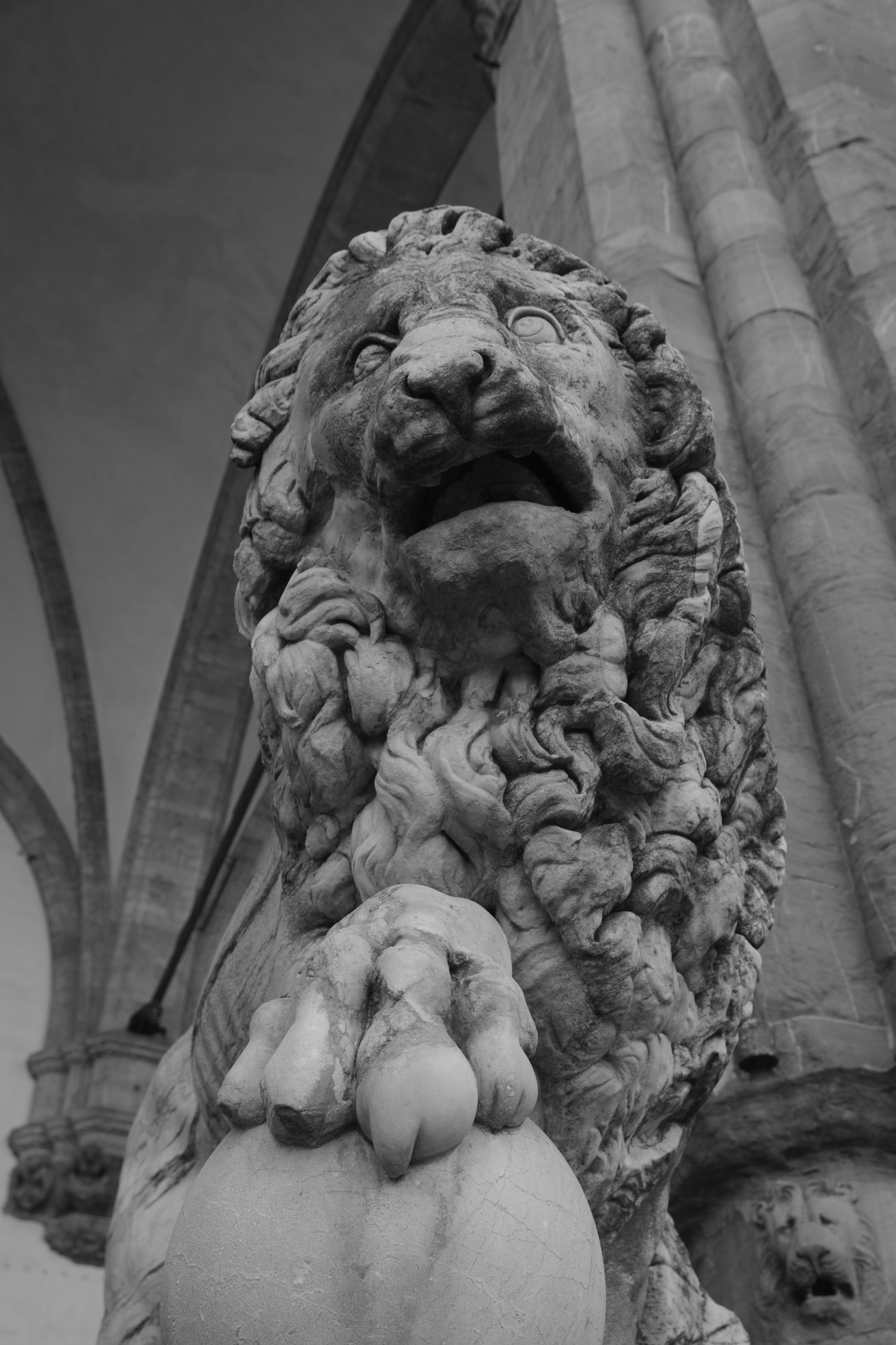 Cherubism Photos, Download The BEST Free Cherubism Stock Photos & HD Images
