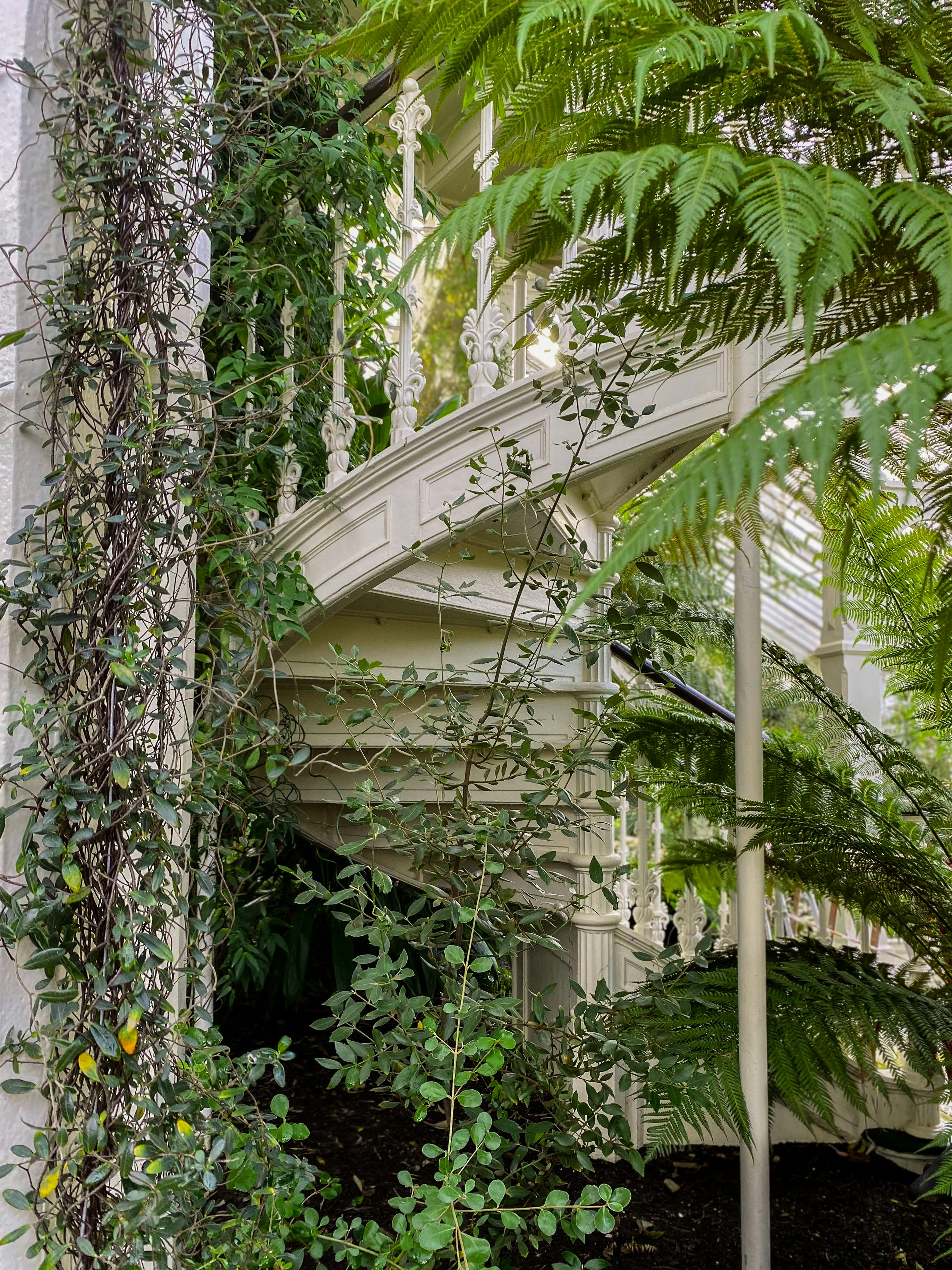 White High-rise Building With Green Leaf Hanging Plants · Free Stock Photo