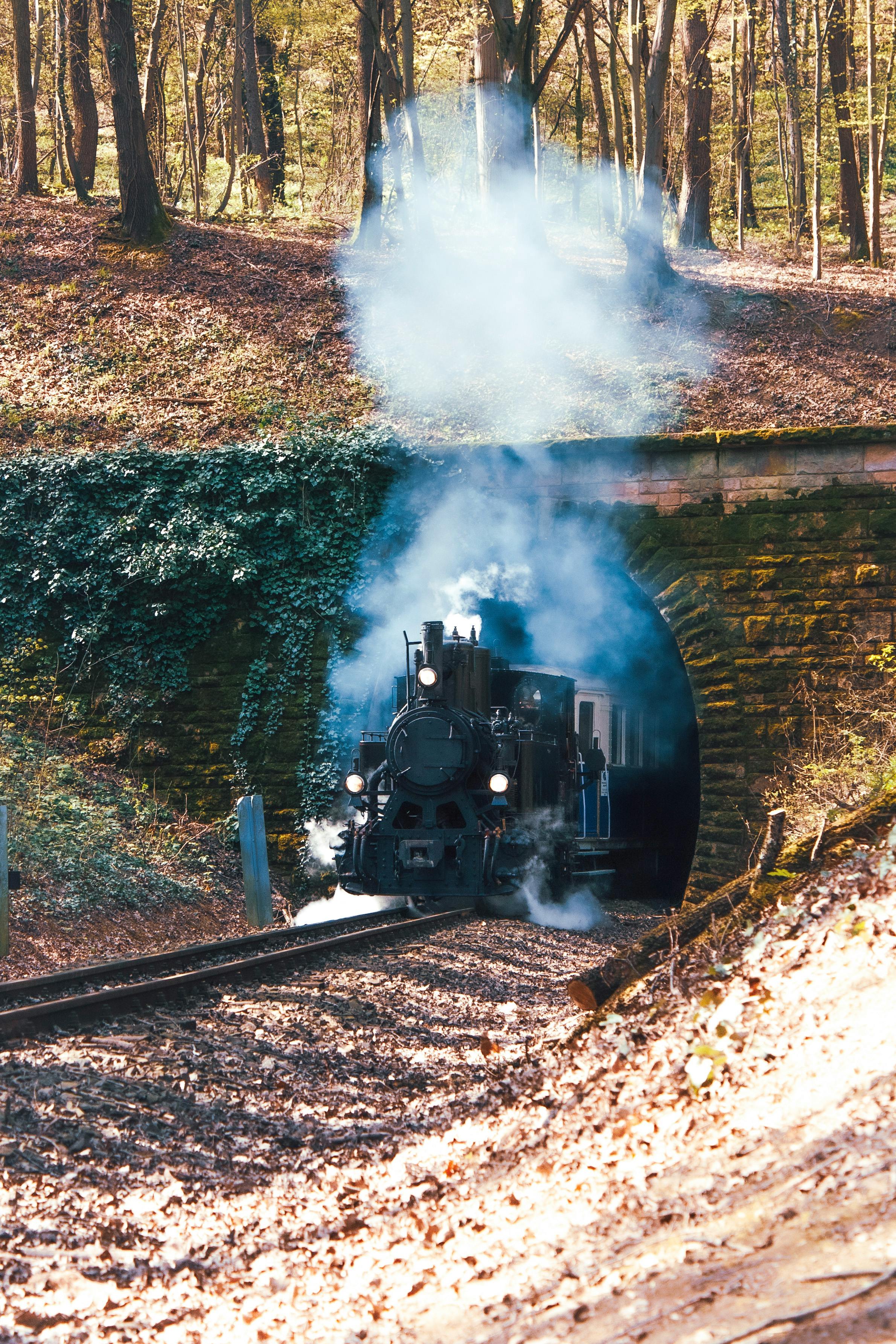 A Steam Train Coming Out of a Tunnel in a Forest in Autumn · Free Stock ...