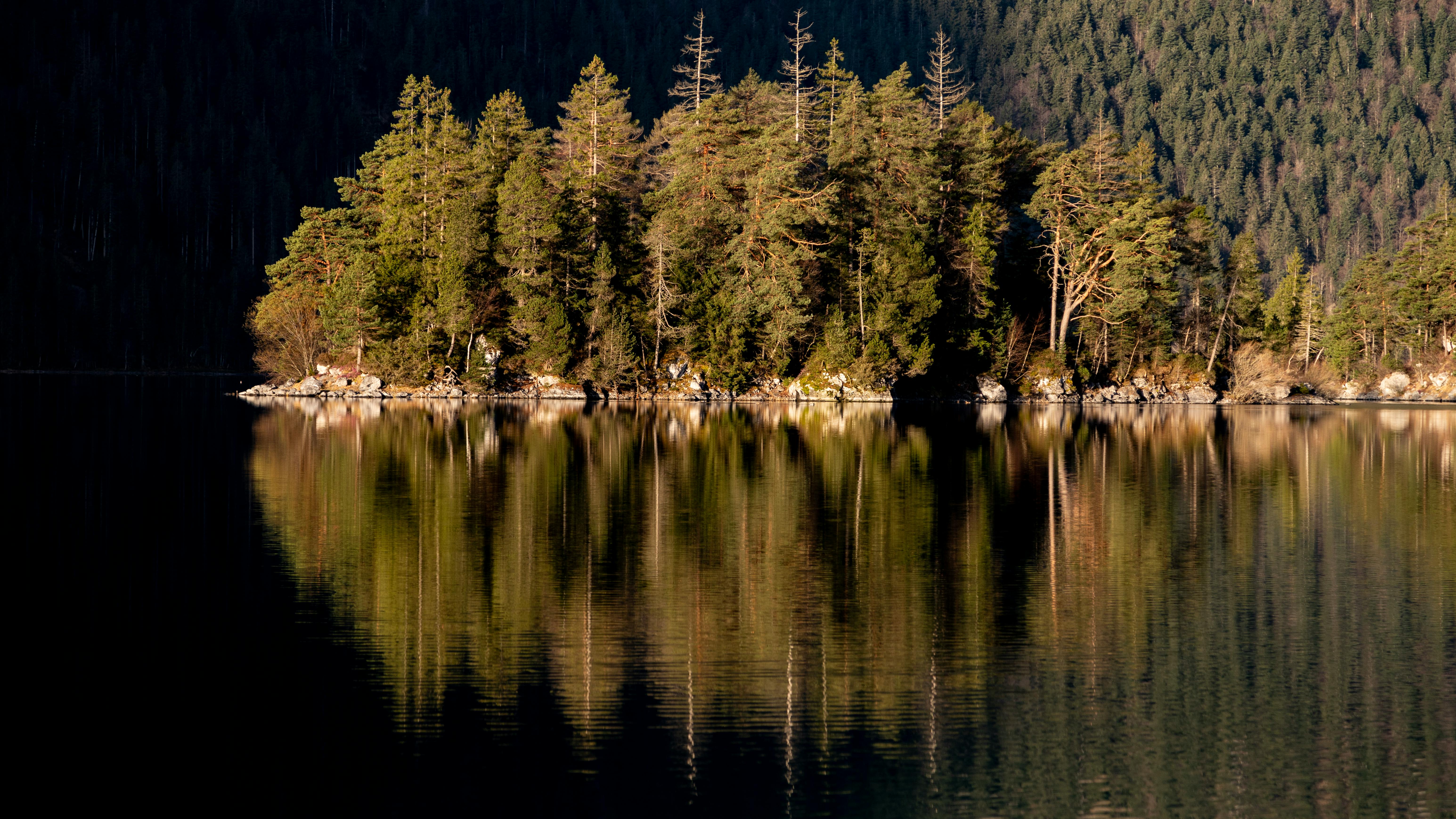 A small island surrounded by trees and water · Free Stock Photo