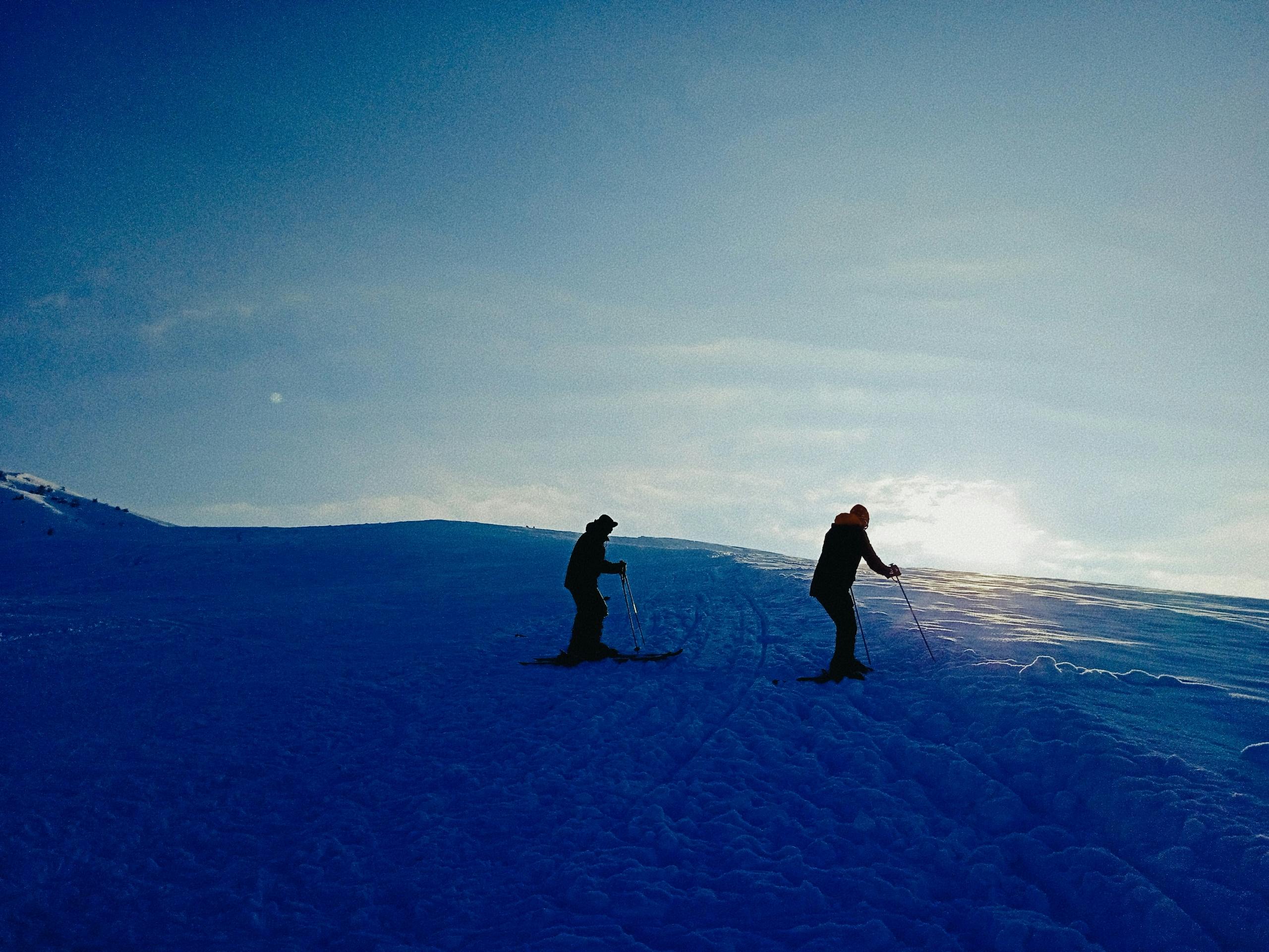 People Skiing in Snow · Free Stock Photo
