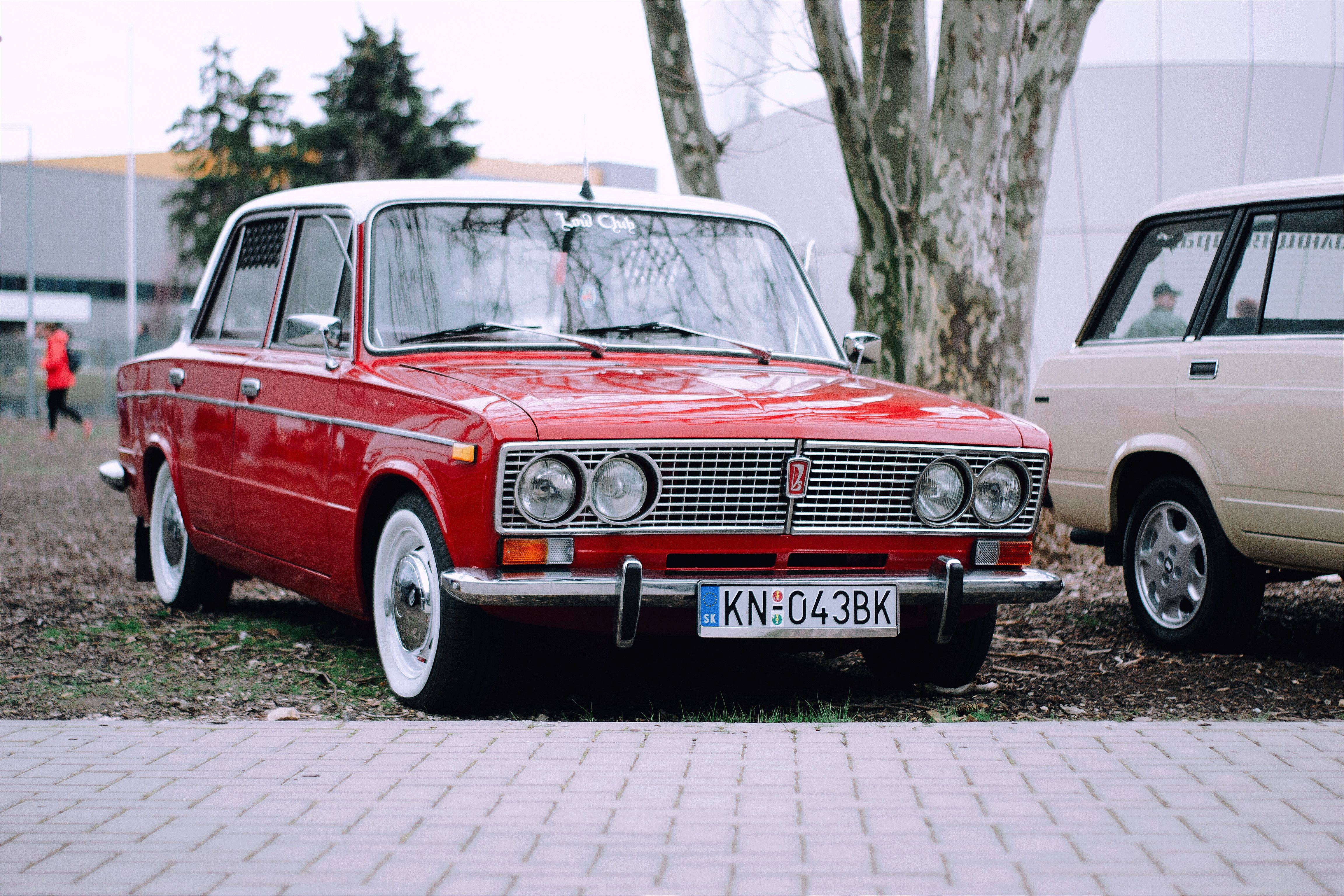 Lada Tree Photos, Download The BEST Free Lada Tree Stock Photos & HD Images