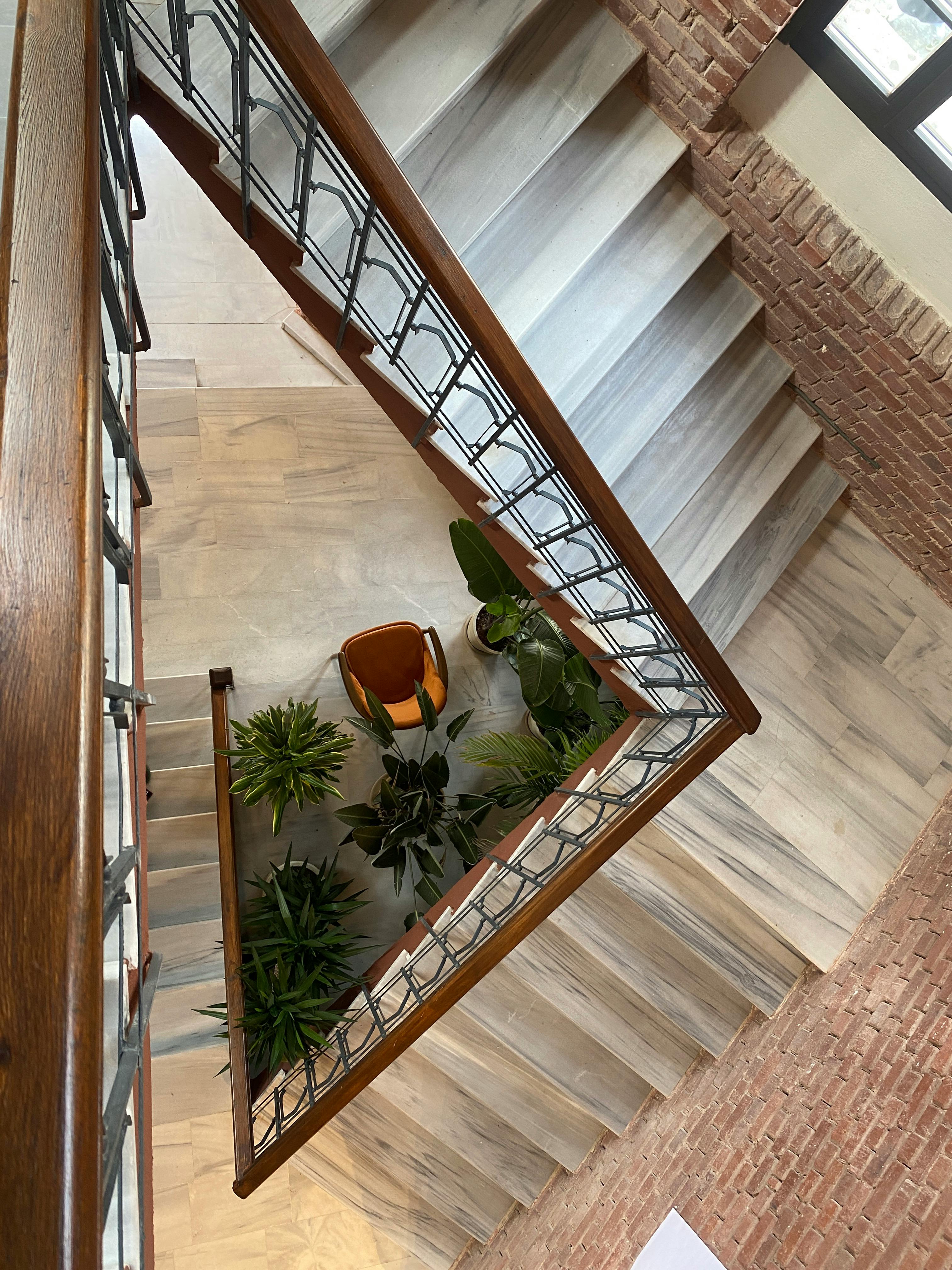 Plants Under Stairs · Free Stock Photo