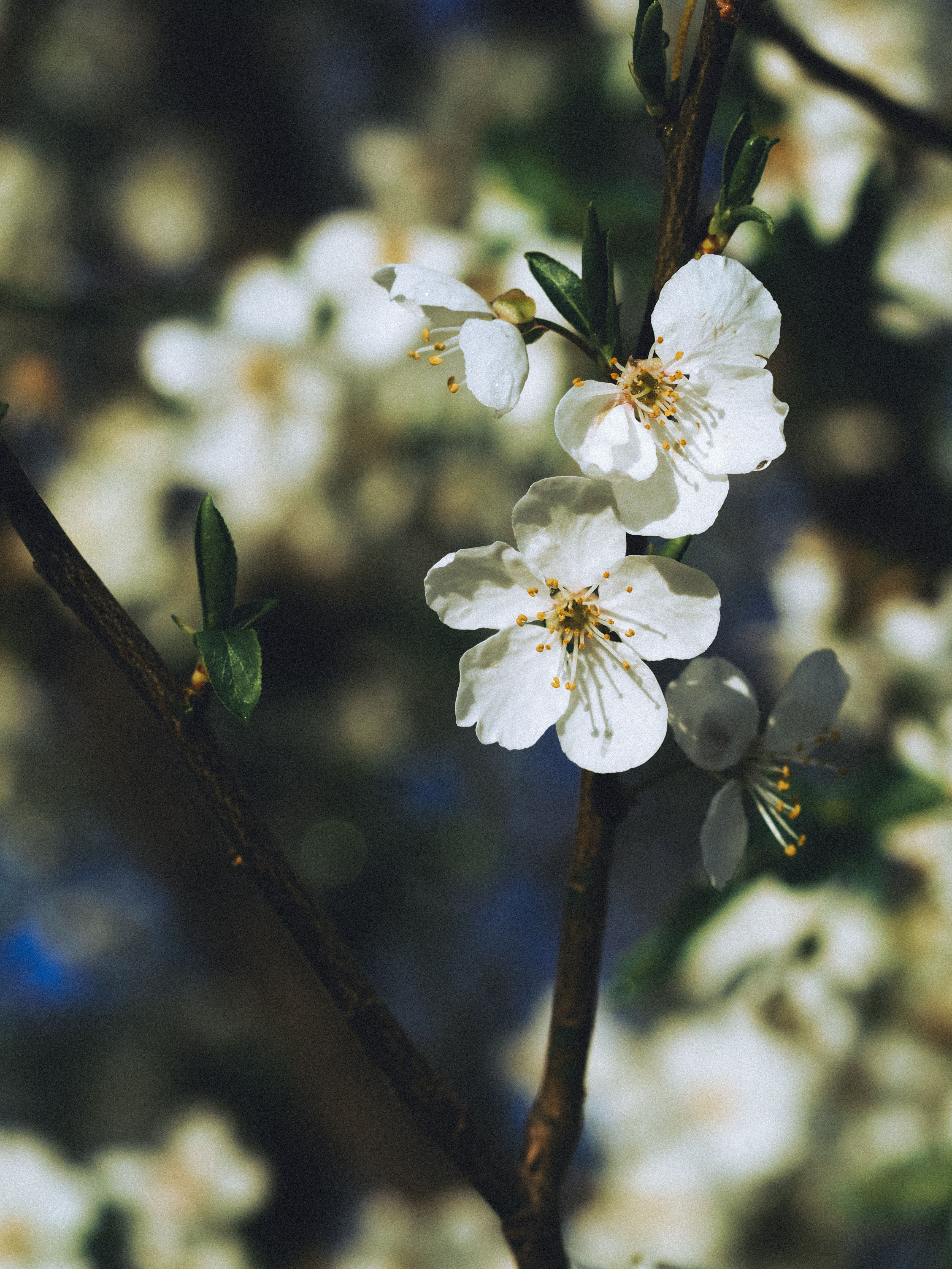 4k Wallpaper Intersteller Photos, Download The BEST Free 4k Wallpaper ...