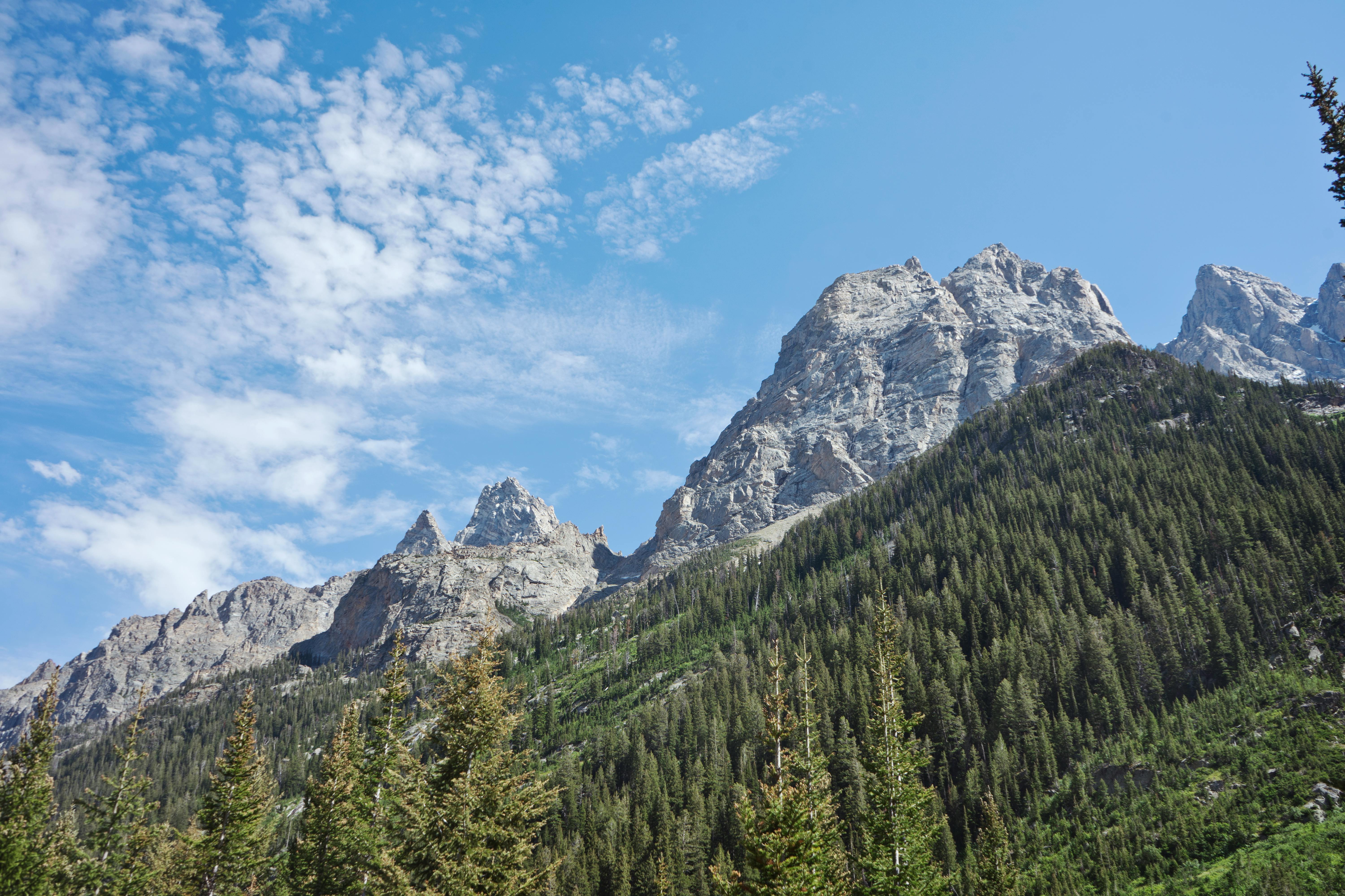 Green Fields Near Brown Mountain · Free Stock Photo
