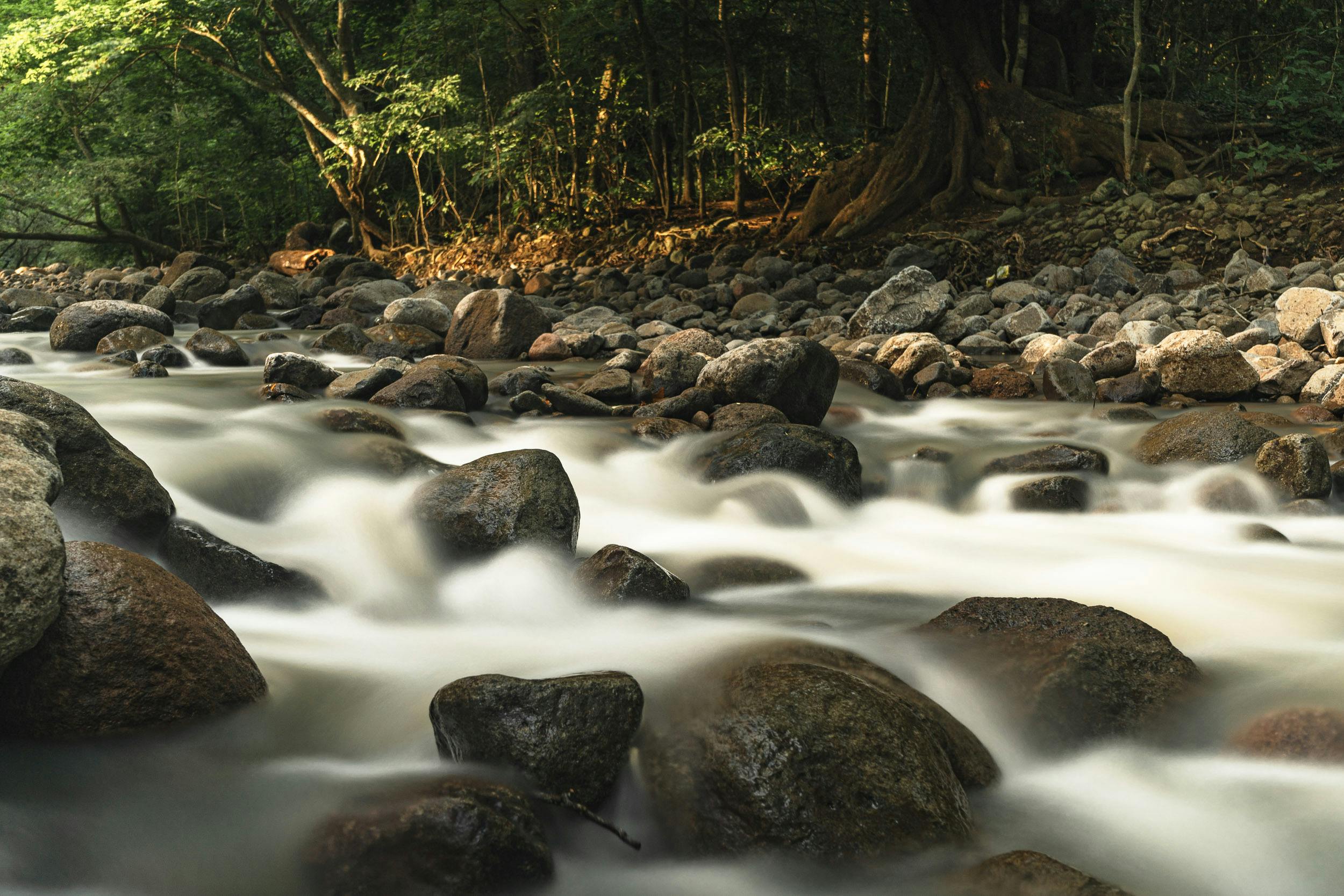 Long Exposure of a Rocky Stream · Free Stock Photo