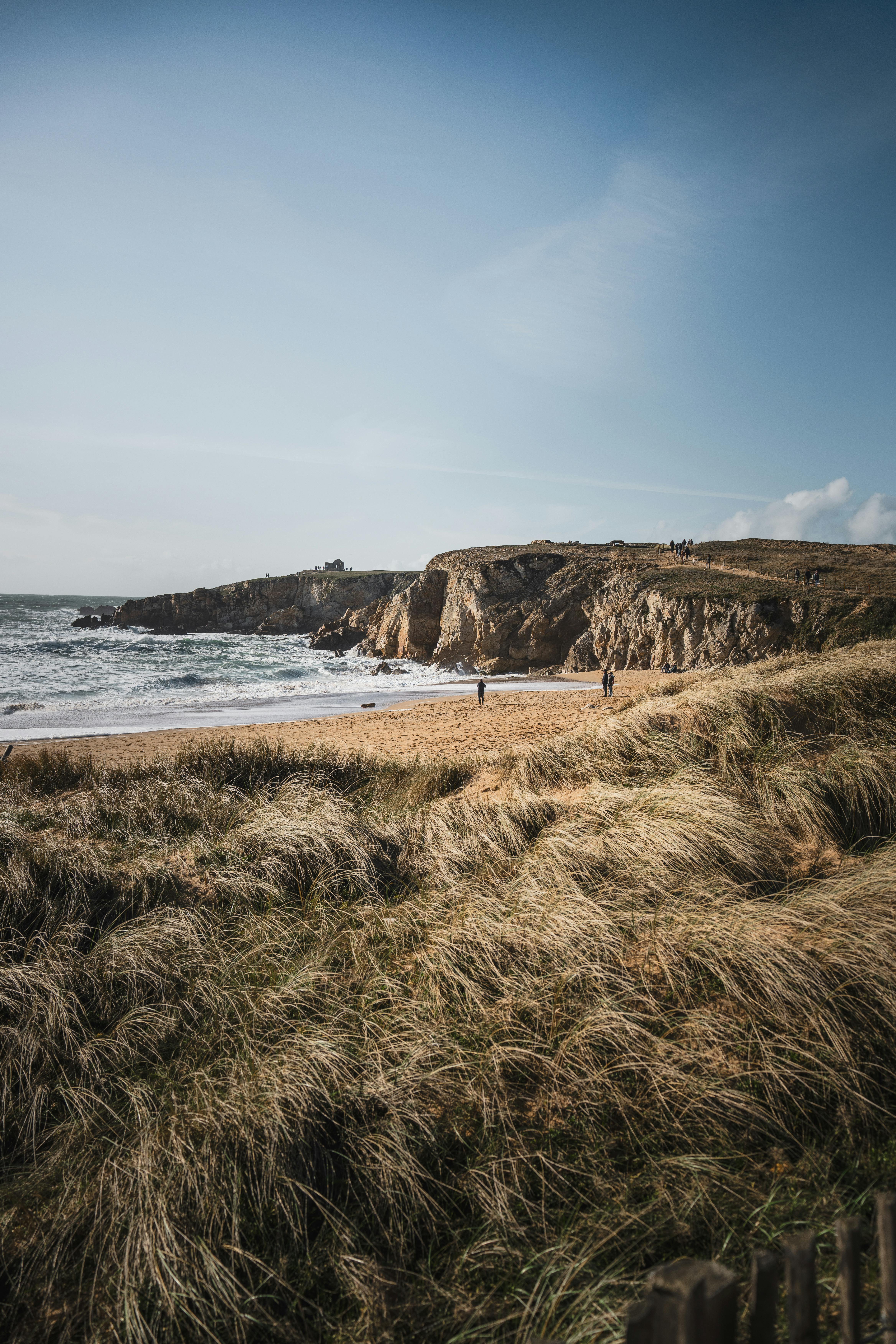 Grass in Front of a Sandy Beach · Free Stock Photo