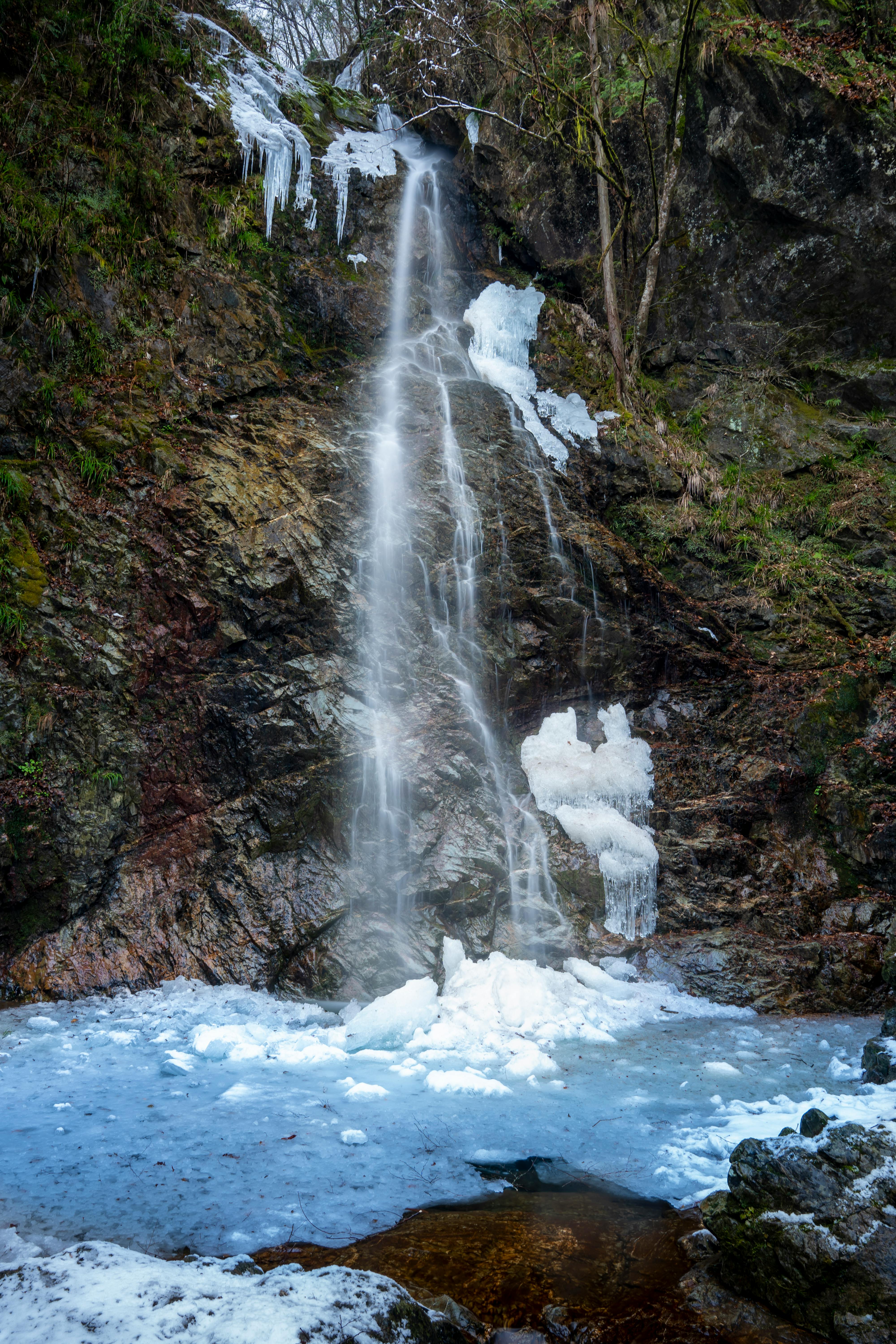 House, Field, and Tree Covered With Snow Near Body of Water · Free ...