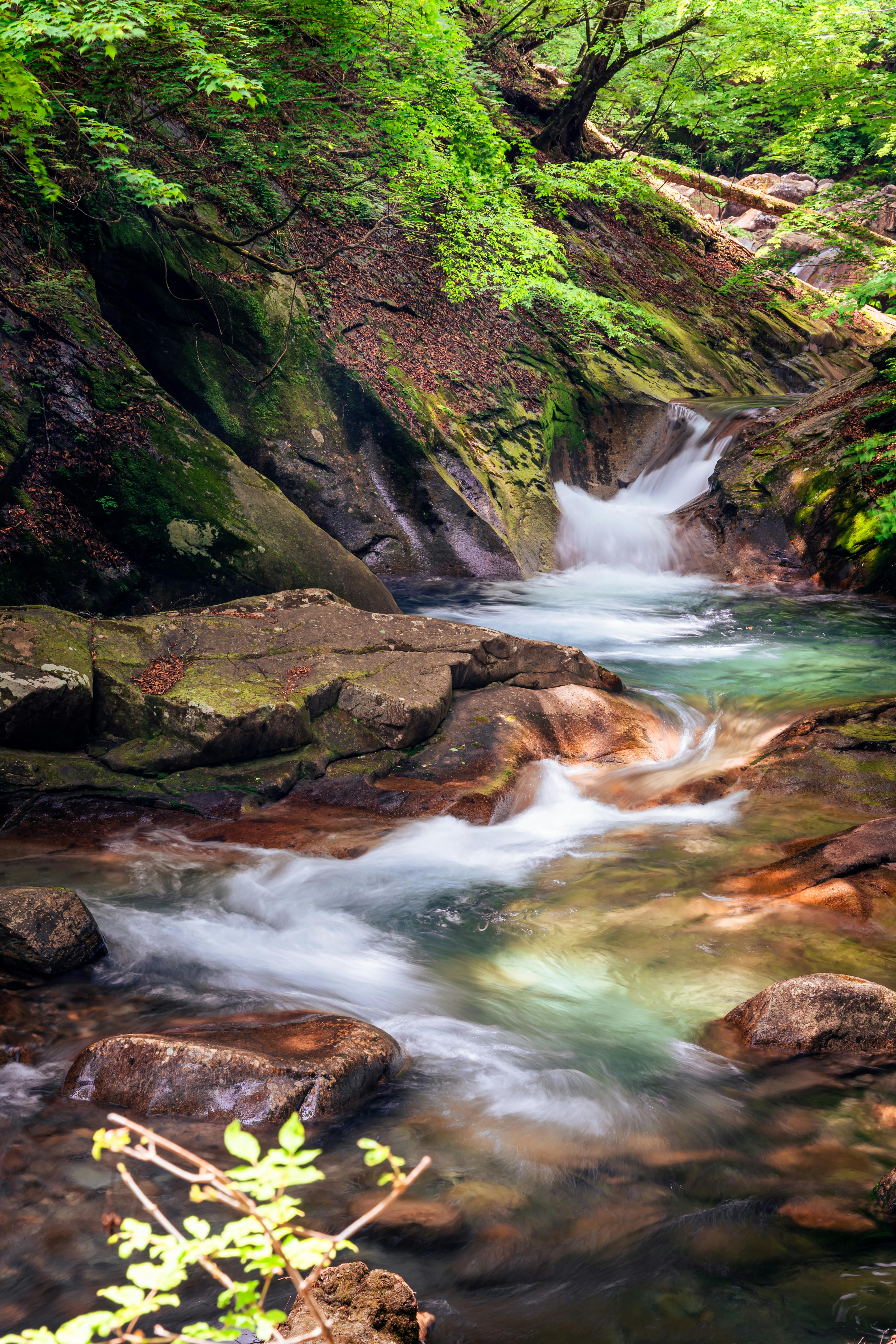 Best Nature Photos, Download The BEST Free Best Nature Stock Photos ...