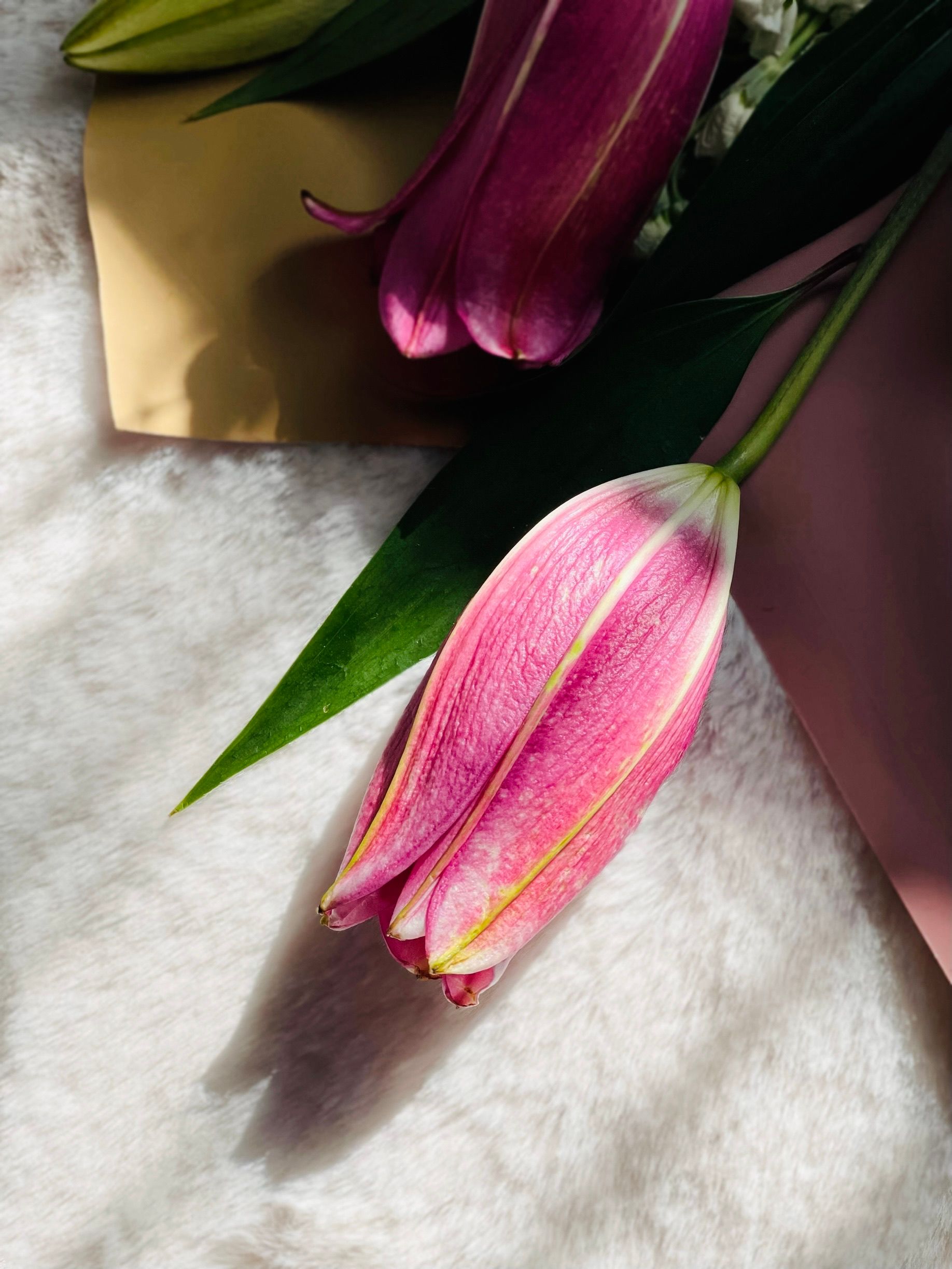Closeup of Cut Pink Lilies on a Carpet · Free Stock Photo