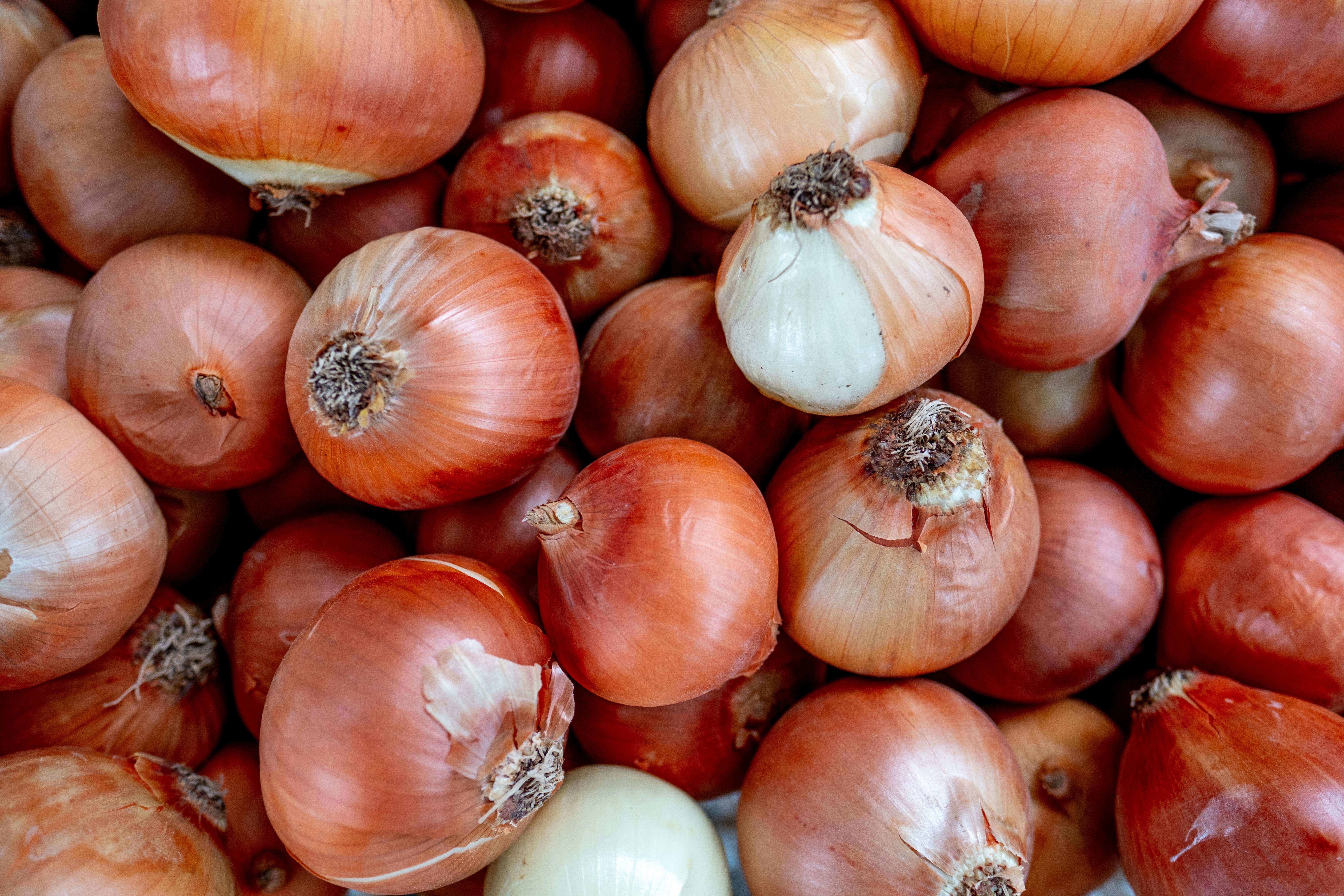 Makkah Cc0 Stock Photos, Download The BEST Free Makkah Cc0 Stock Stock ...